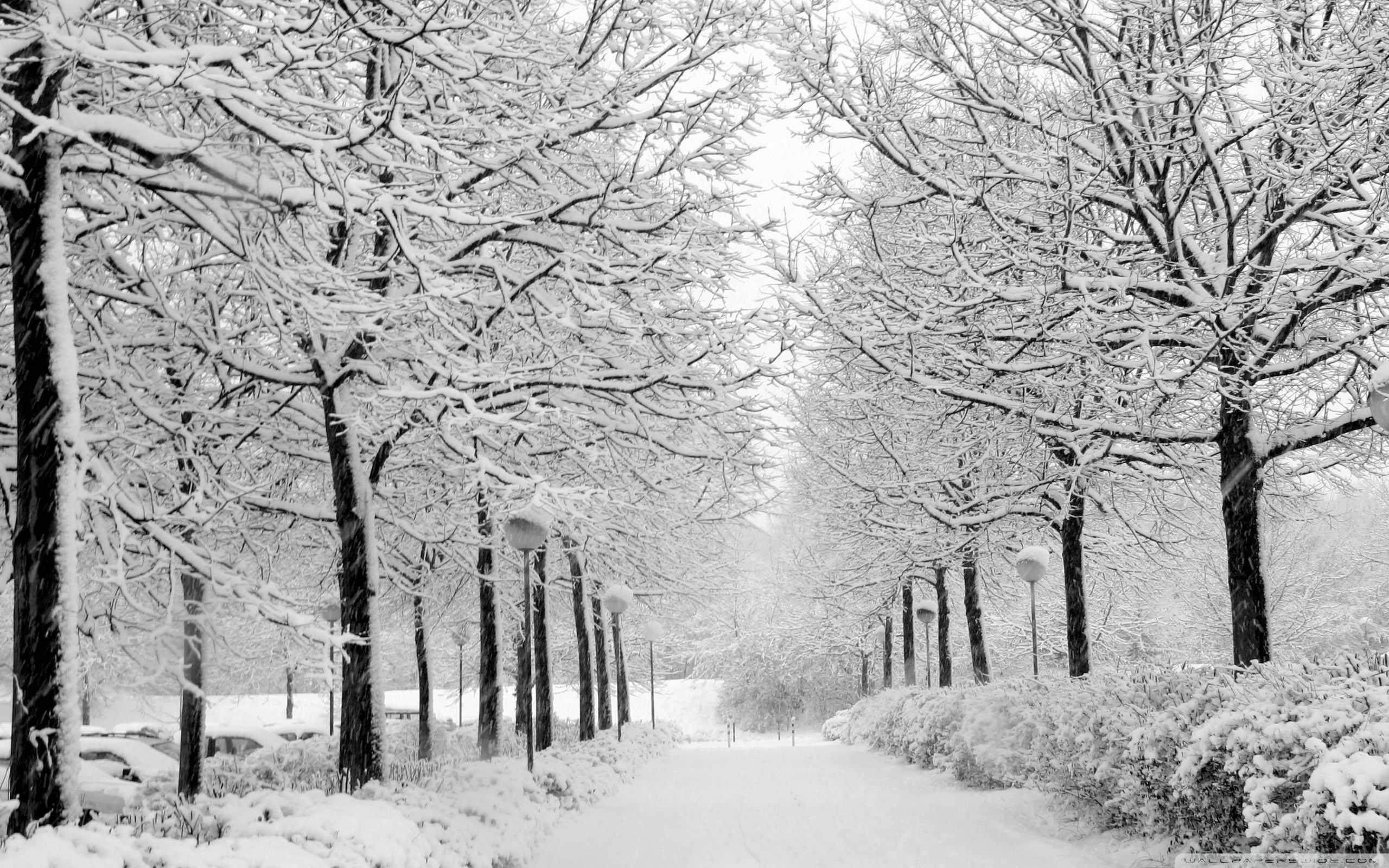 Winter Outside Wallpapers - Wallpaper Cave