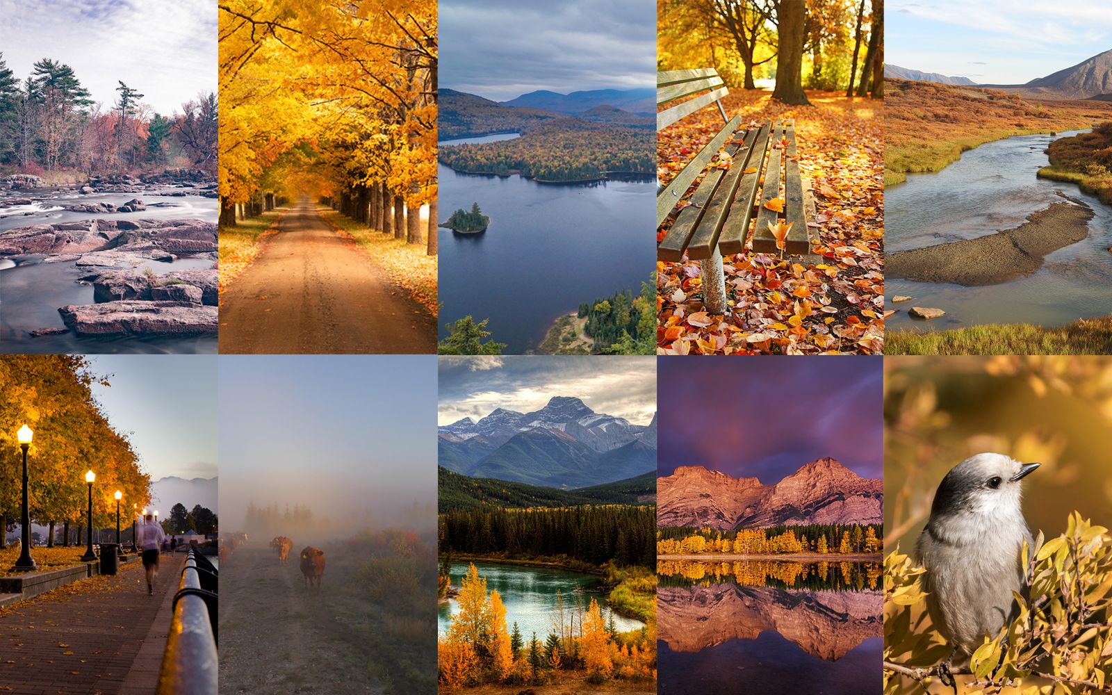 Collage Autumn Wallpapers - Wallpaper Cave