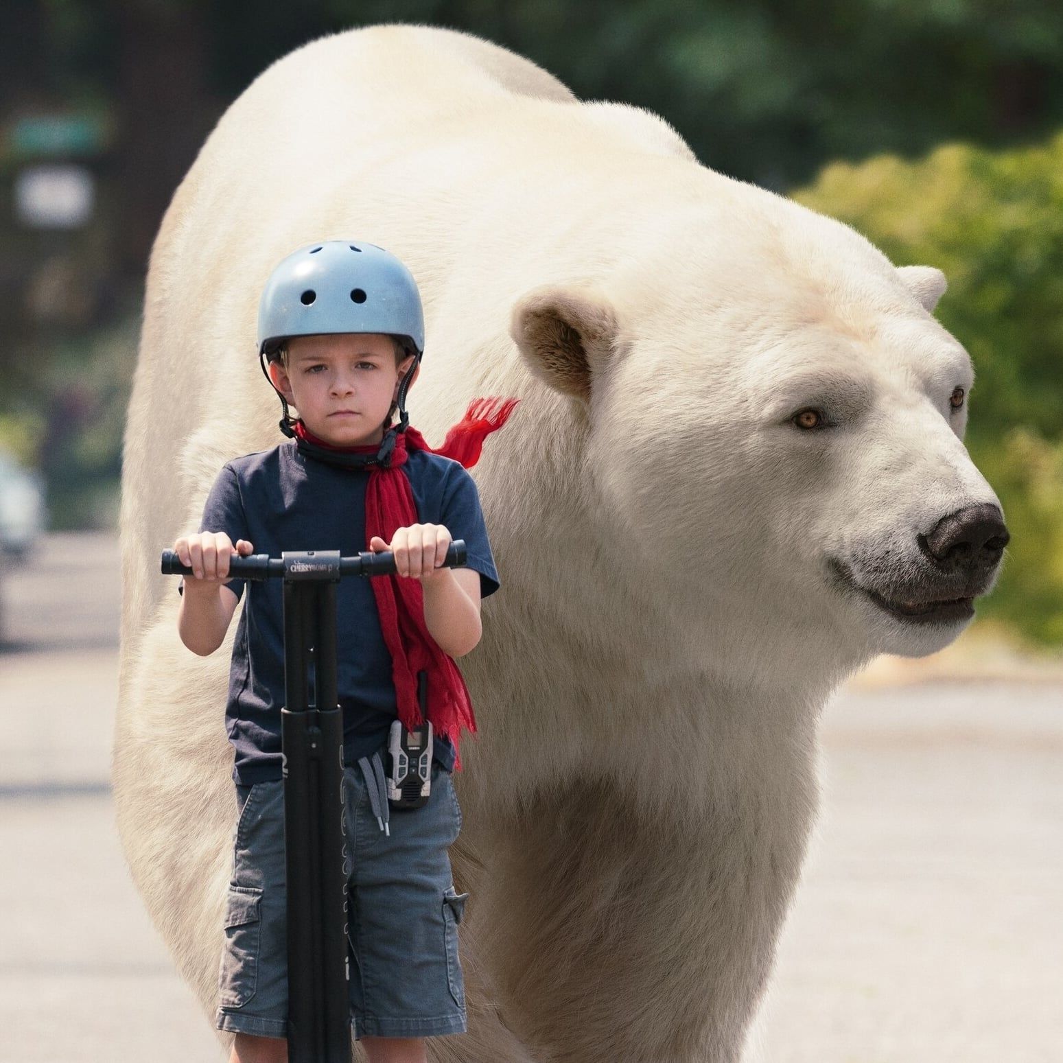 Timmy Failure Wallpapers - Wallpaper Cave