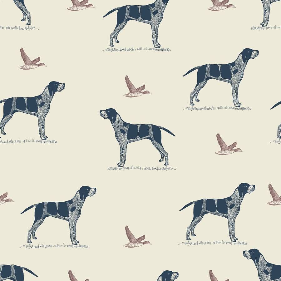 German Shorthaired Pointers Wallpapers - Wallpaper Cave