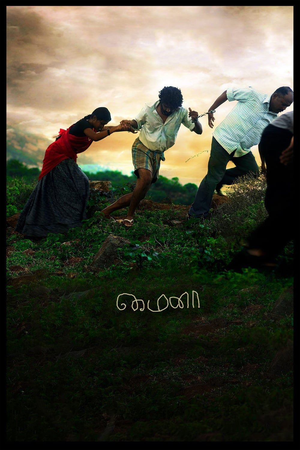 Mynaa Wallpapers - Wallpaper Cave