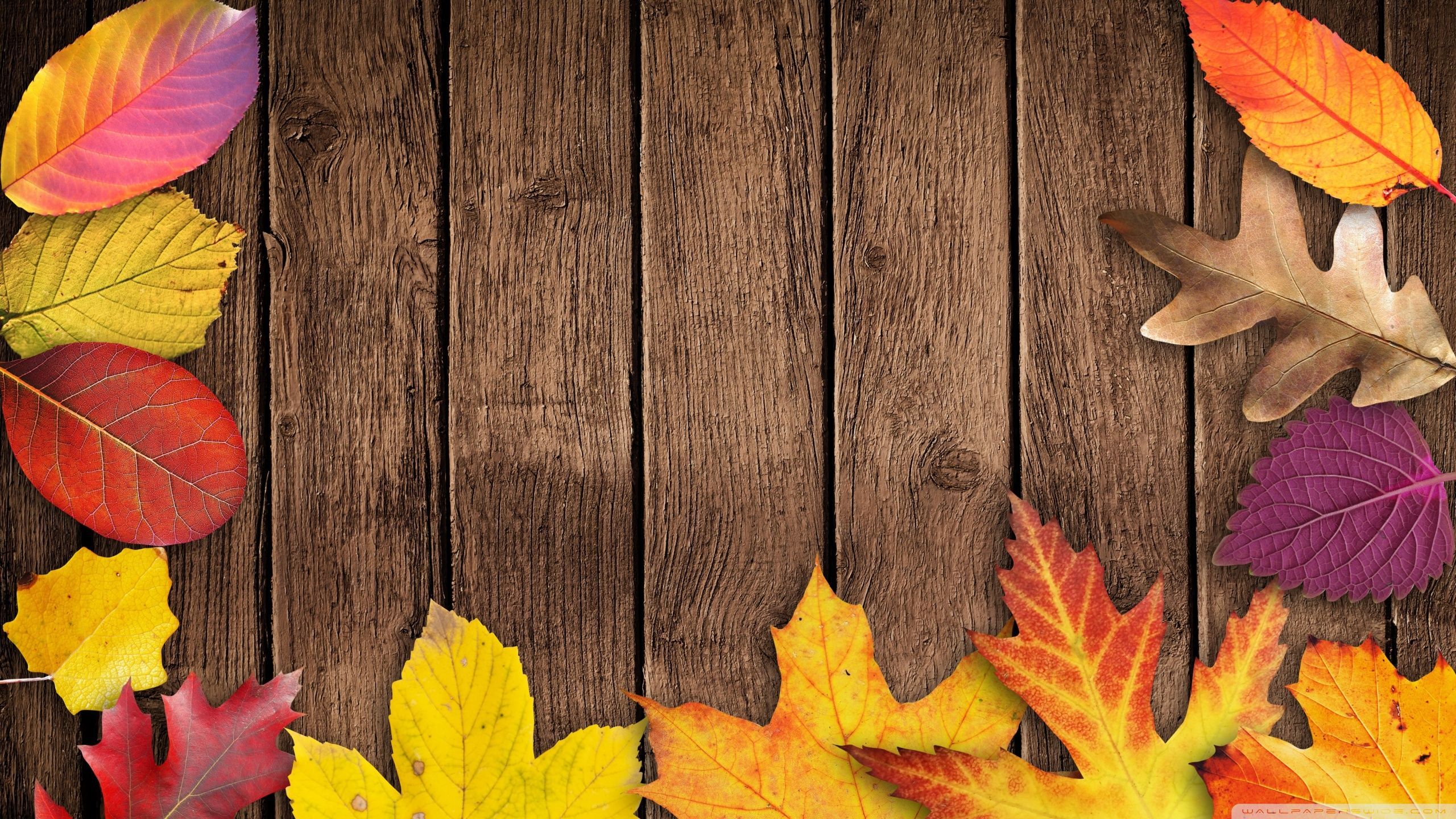 Autumn Text Wallpapers - Wallpaper Cave