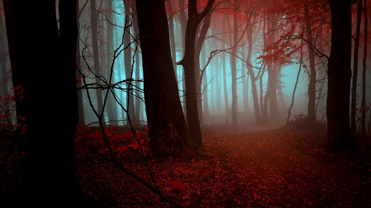 Creepy Autumn Wallpapers - Wallpaper Cave