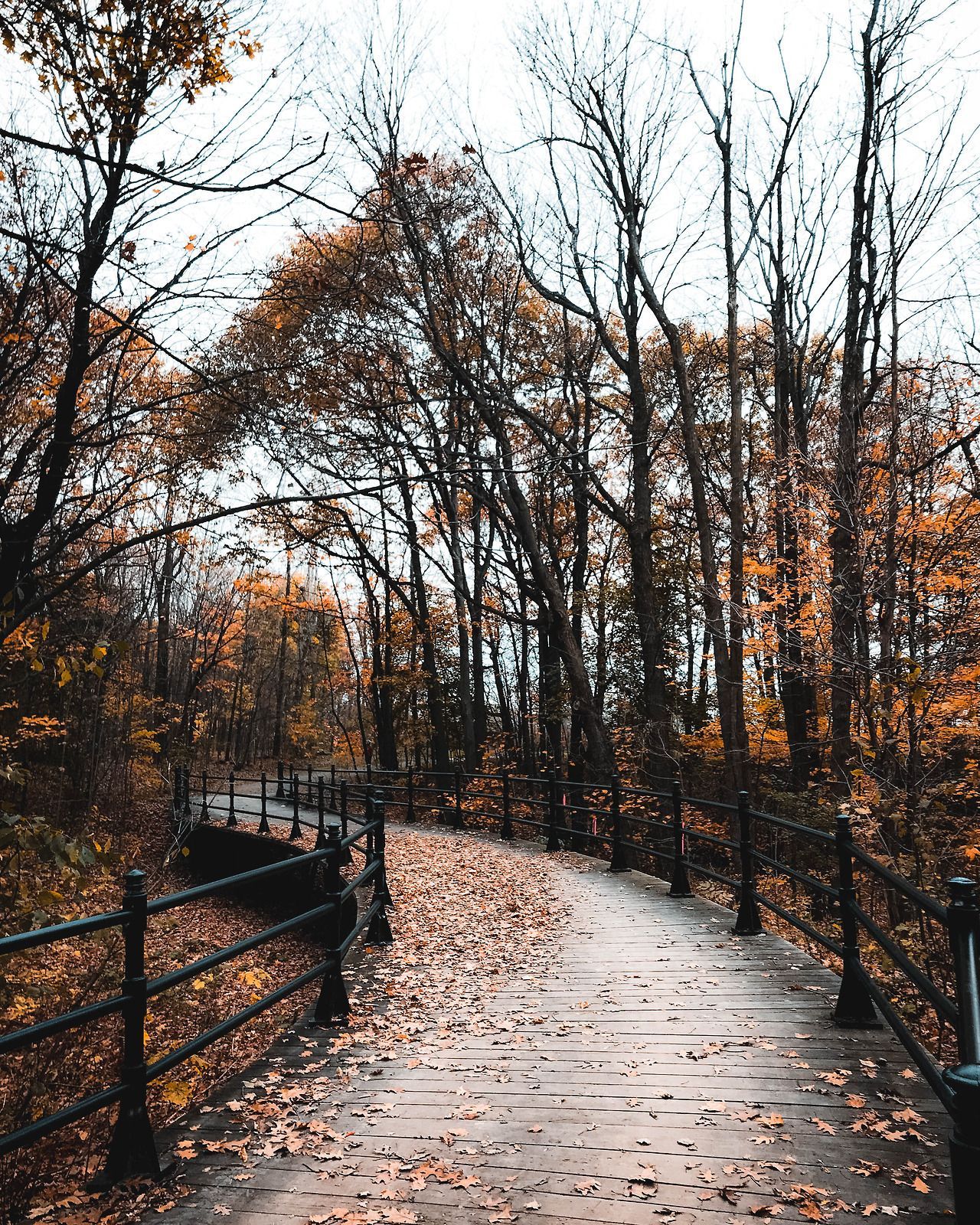 Creepy Autumn Wallpapers - Wallpaper Cave