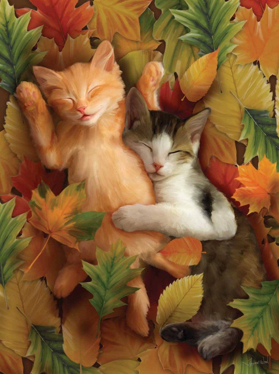 Autumn Kitten Wallpapers - Wallpaper Cave