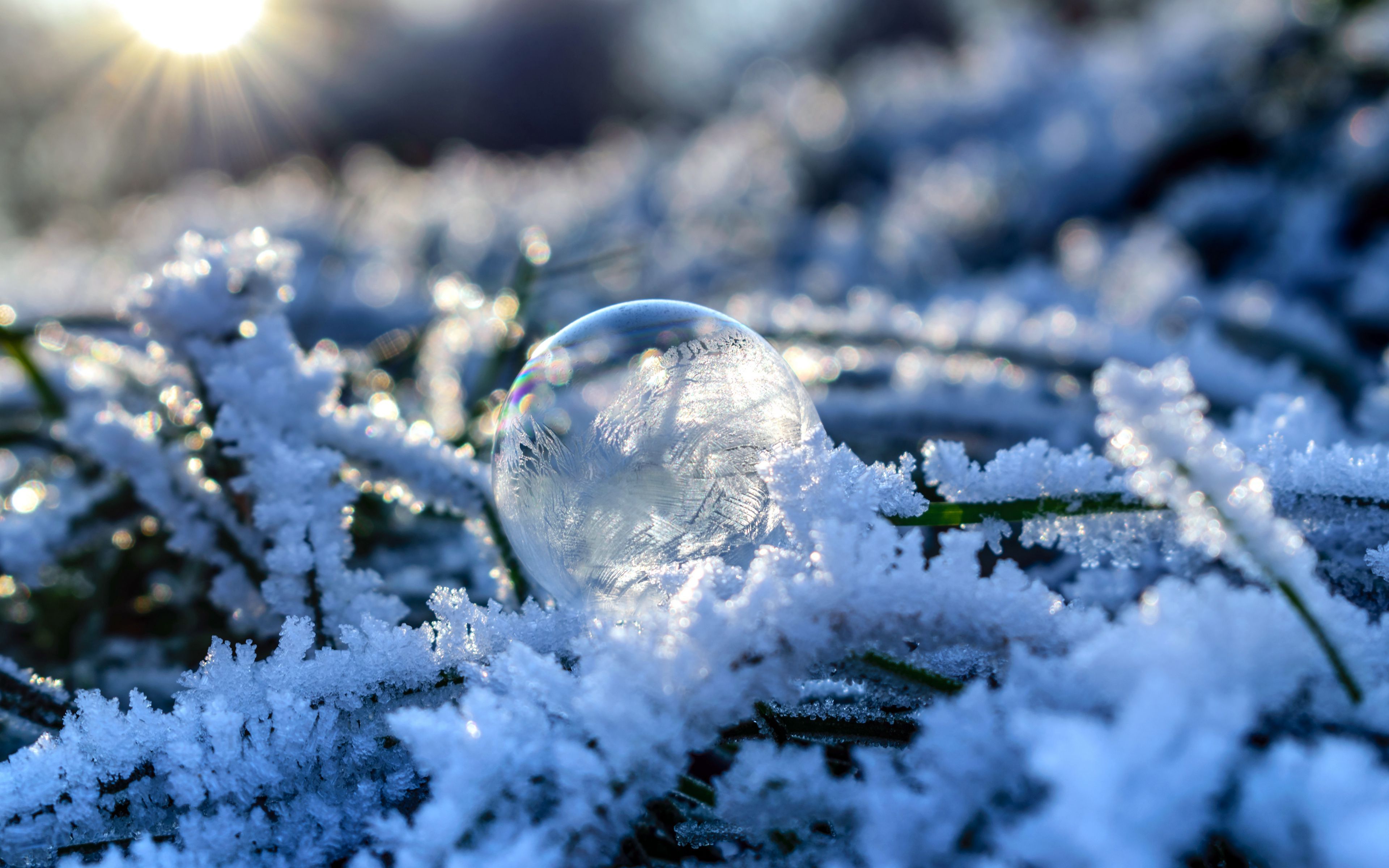 Bubbles Winter Wallpapers - Wallpaper Cave