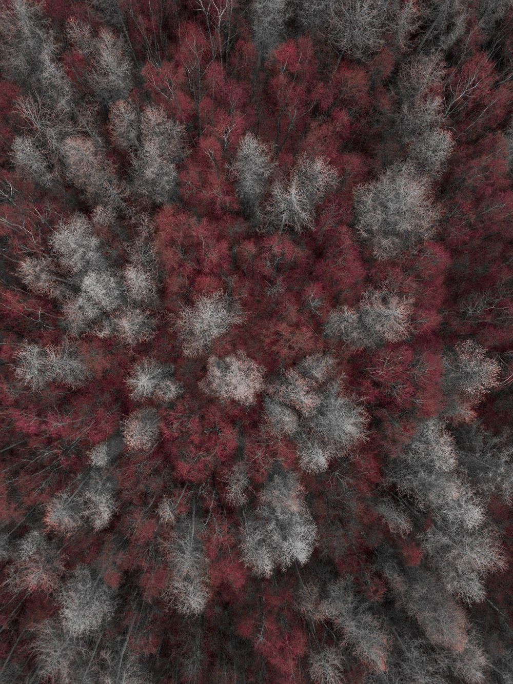 Carpets Wallpapers - Wallpaper Cave