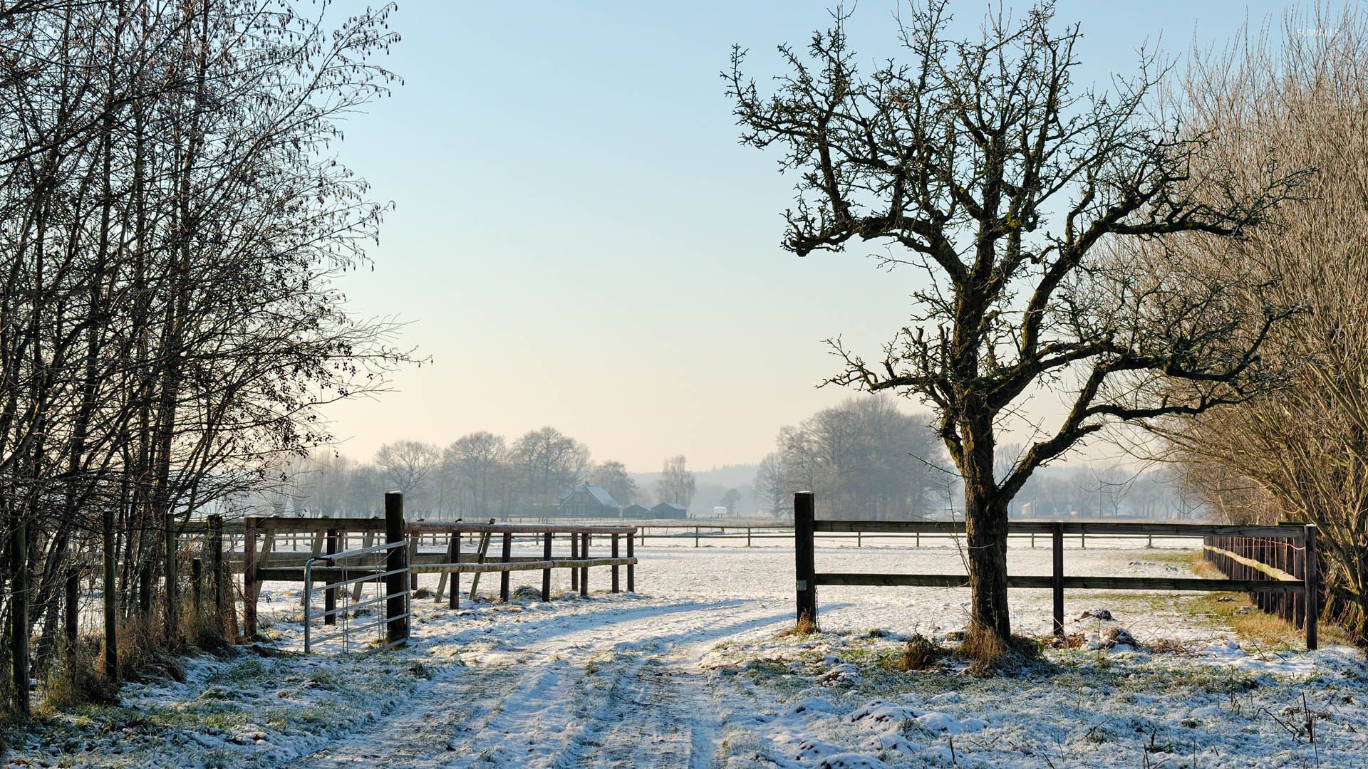 First Snow Wallpapers - Wallpaper Cave