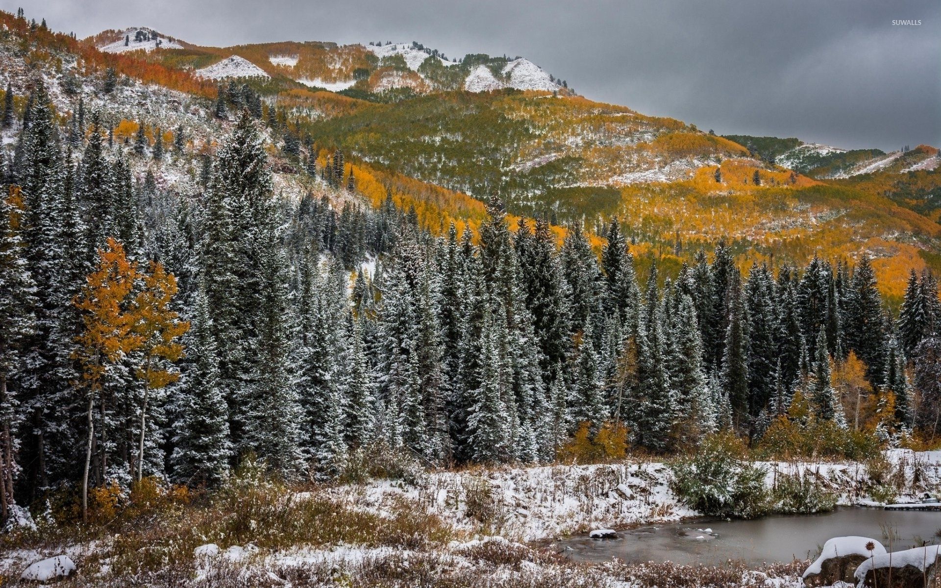 First Snow Wallpapers - Wallpaper Cave