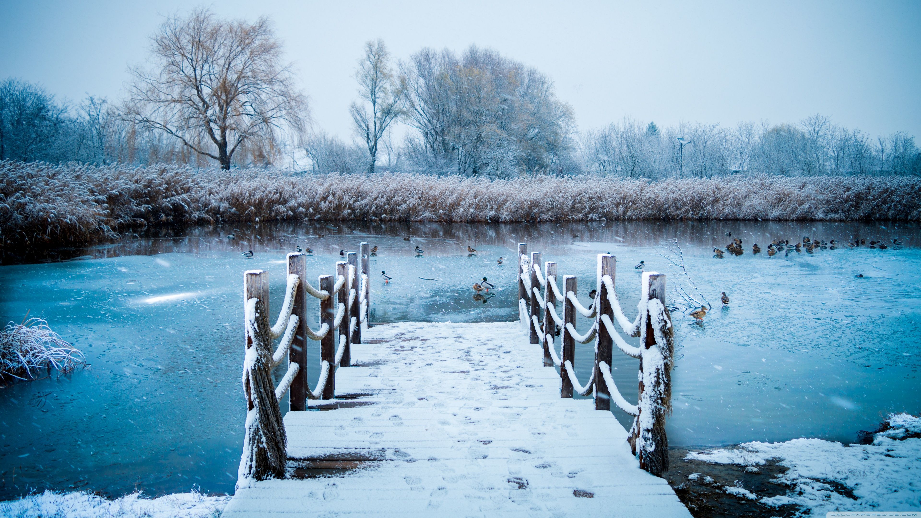 First Snow Wallpapers - Wallpaper Cave