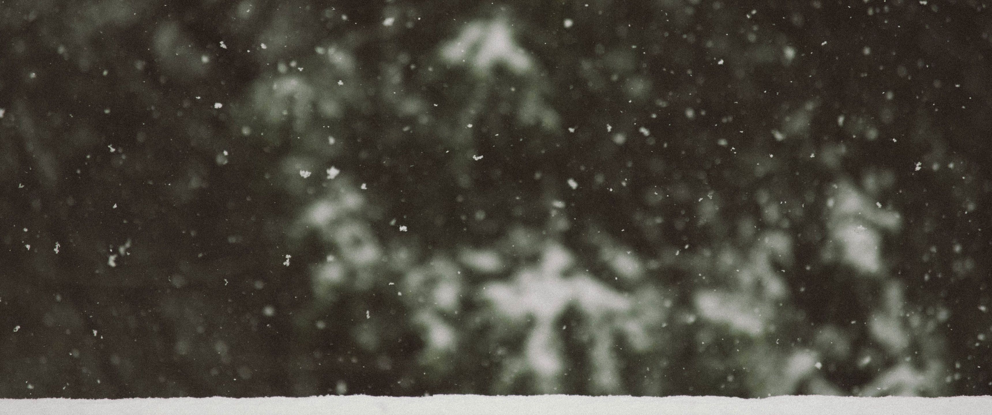 First Snow Wallpapers - Wallpaper Cave