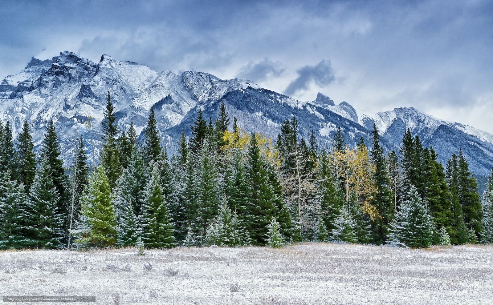 First Snow Wallpapers - Wallpaper Cave