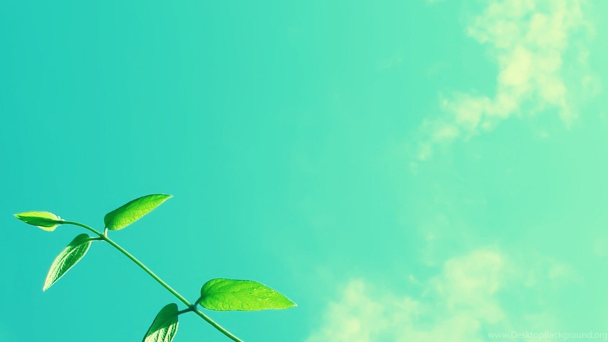 Tumblr Wide Wallpapers - Wallpaper Cave