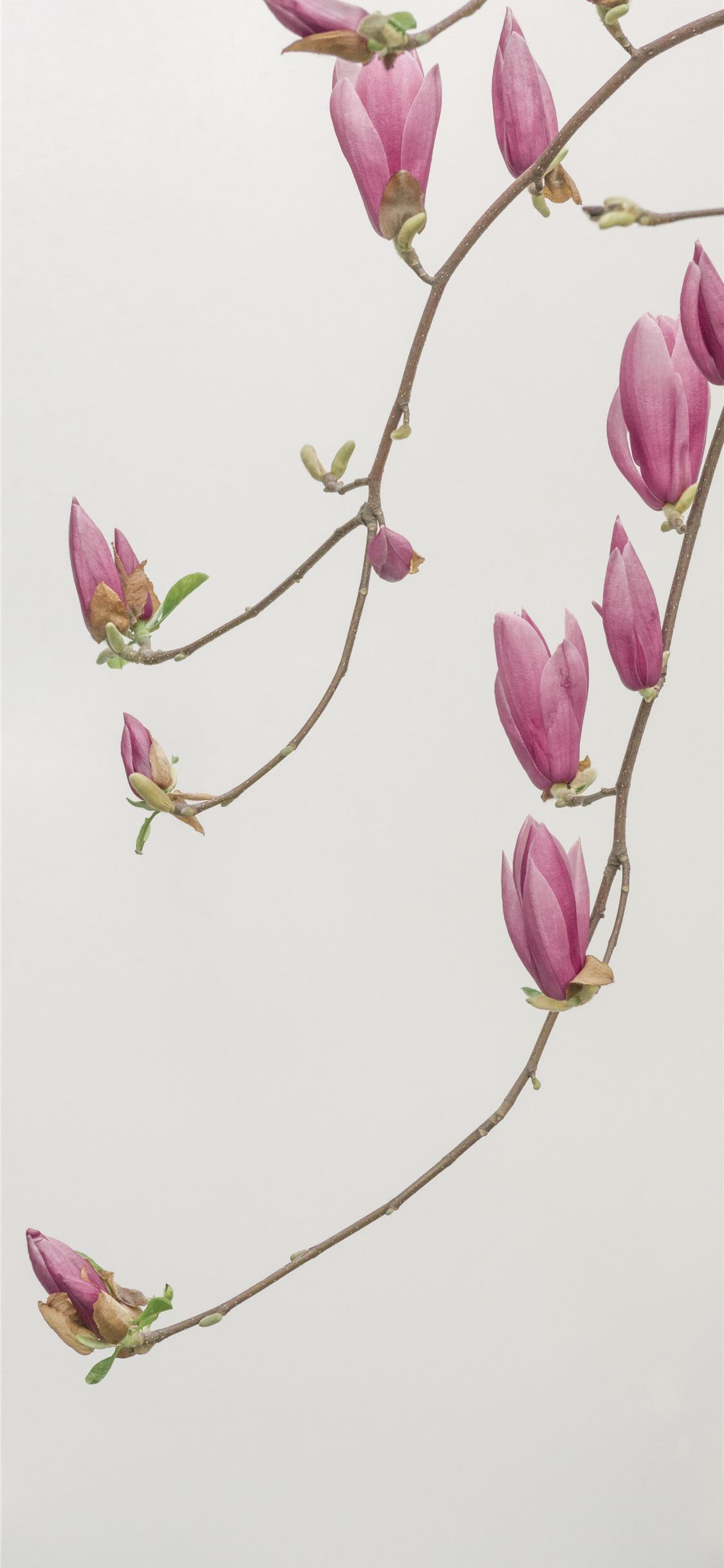 Solid Spring Colors Wallpapers - Wallpaper Cave