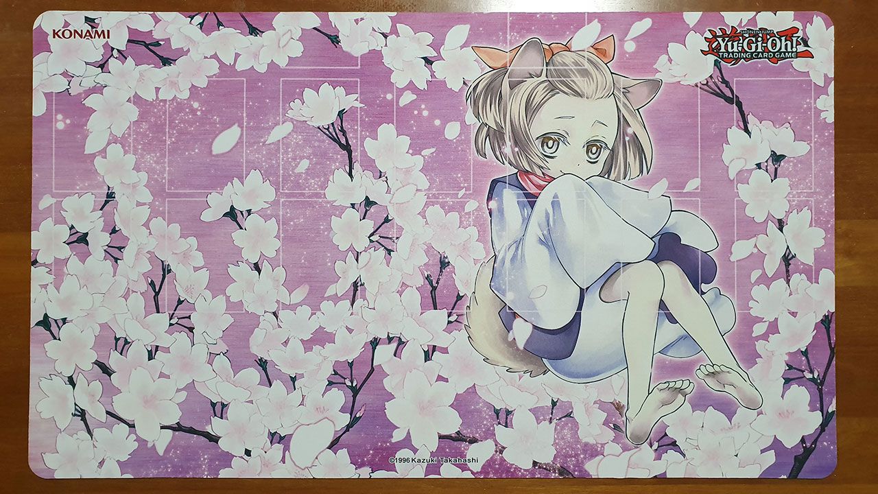 Ash Blossom & Joyous Spring Wallpapers - Wallpaper Cave