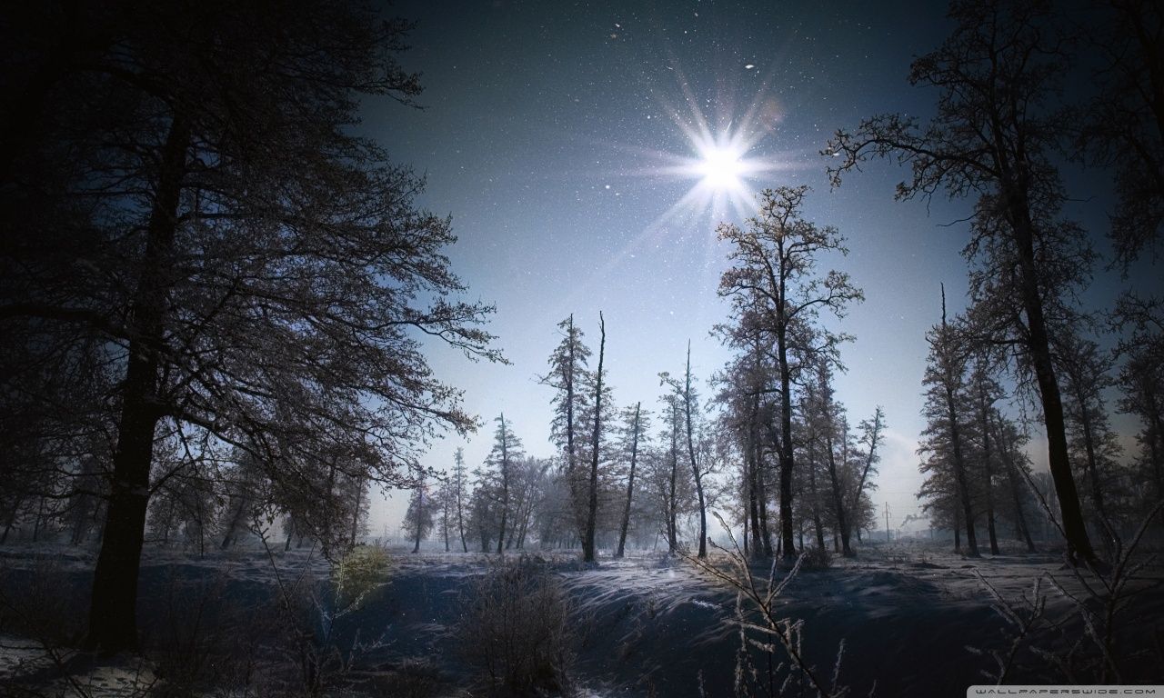 Magic Winter Wallpapers - Wallpaper Cave