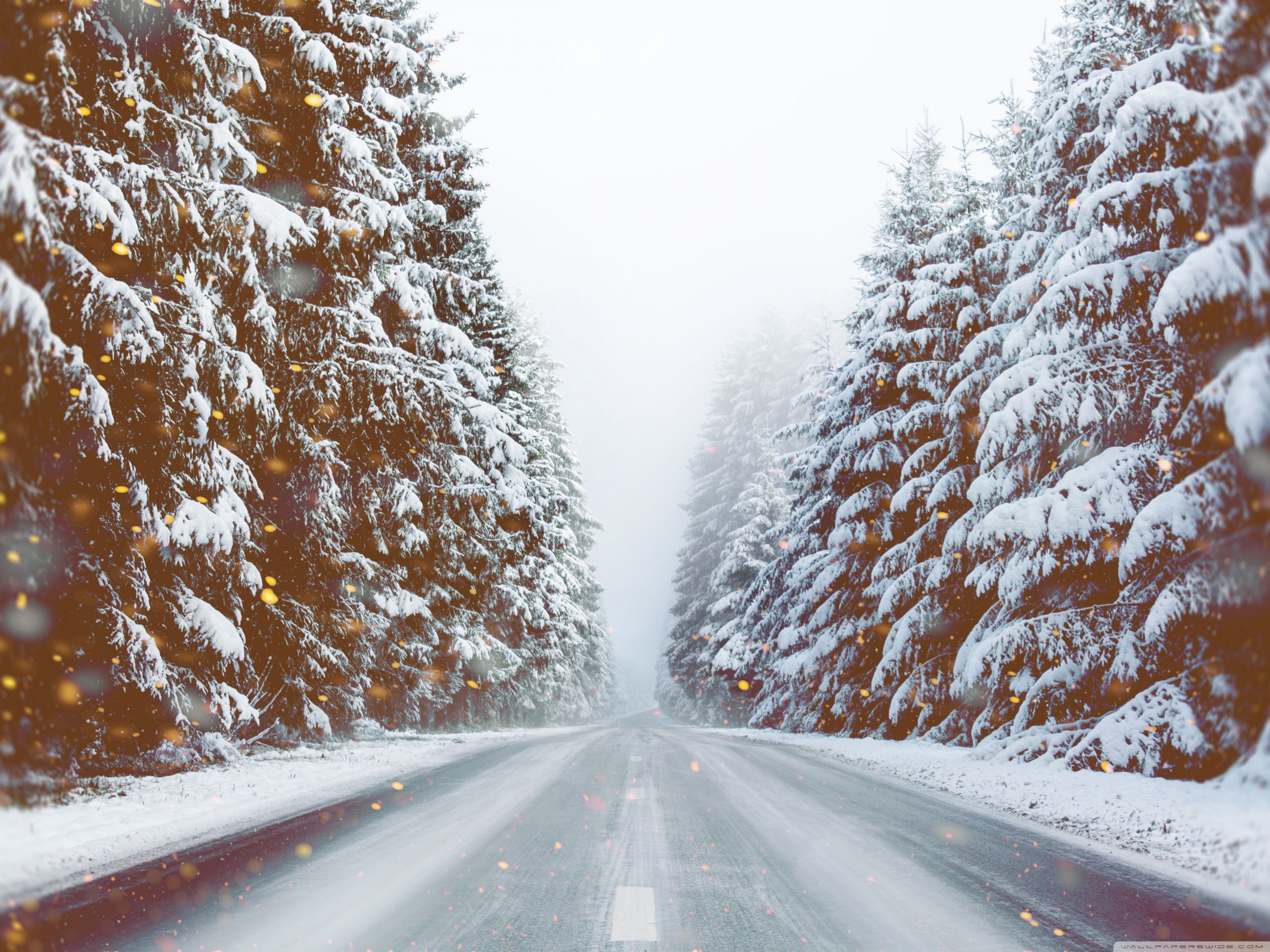 Magic Winter Wallpapers - Wallpaper Cave