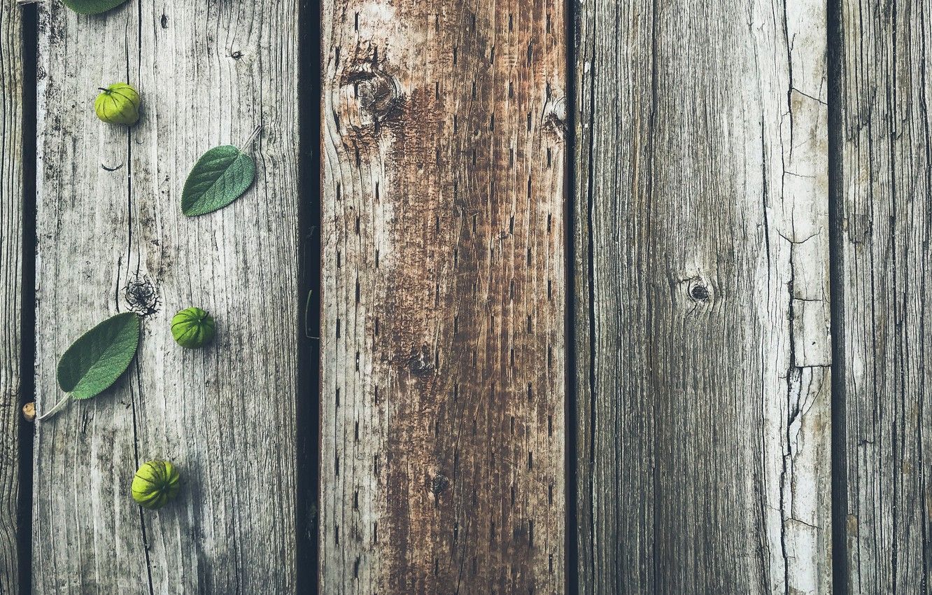 Old Tree Wallpapers - Wallpaper Cave