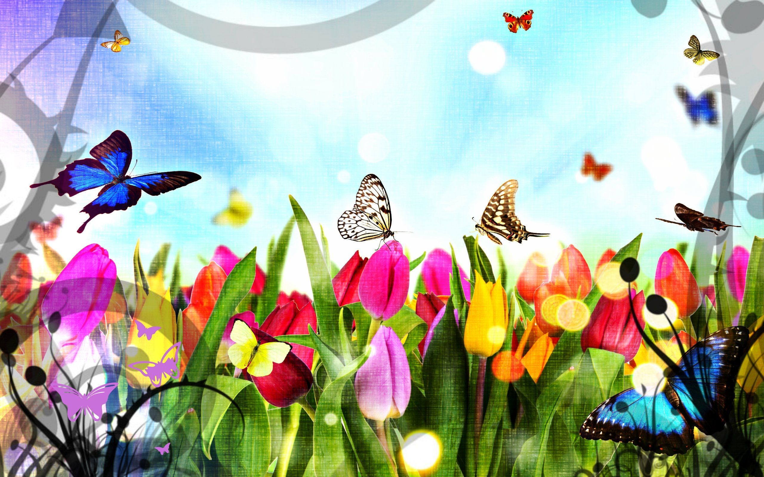Butterfly In Beautiful Forest Wallpapers - Wallpaper Cave