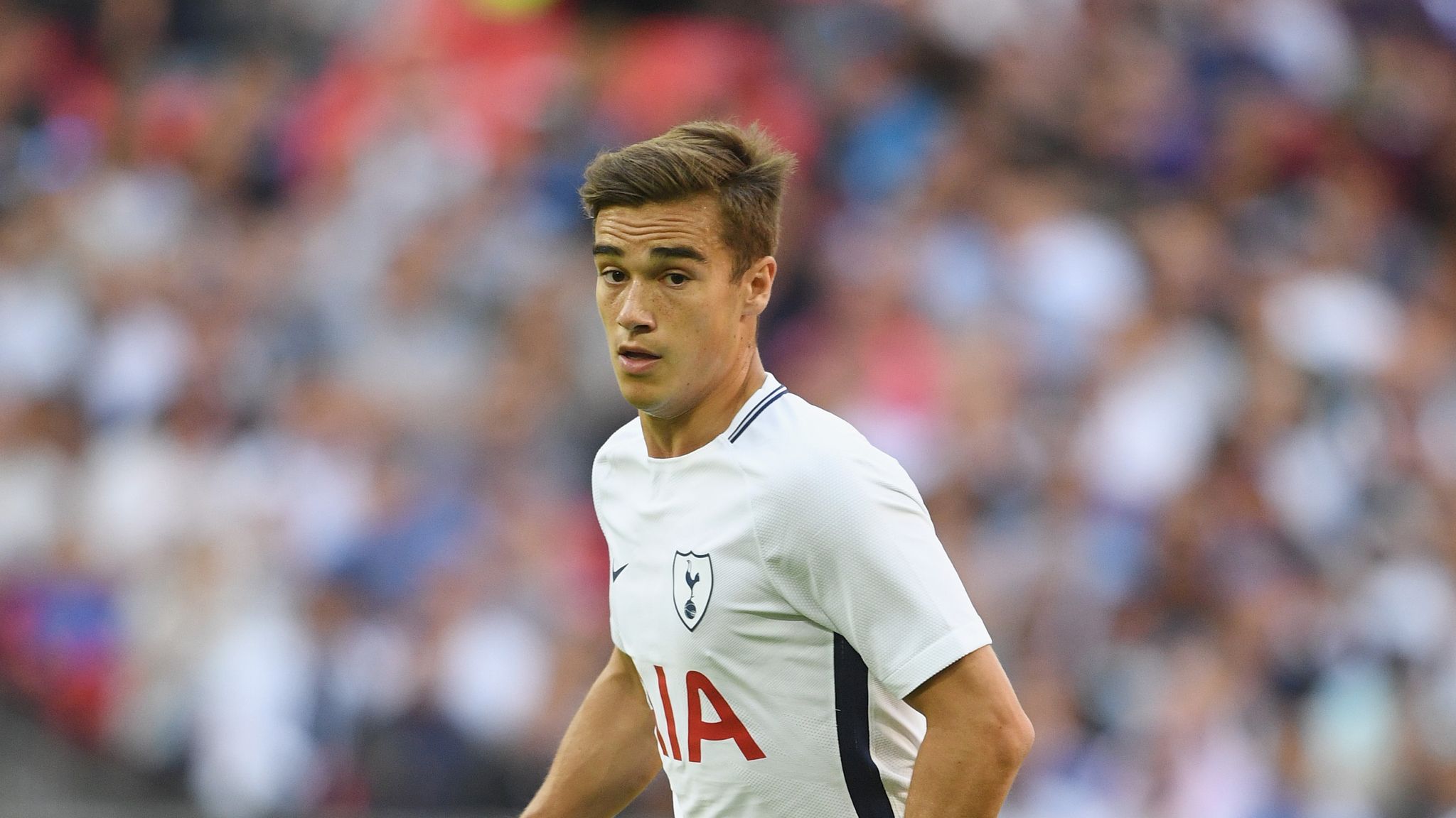 Harry Winks Wallpapers - Wallpaper Cave