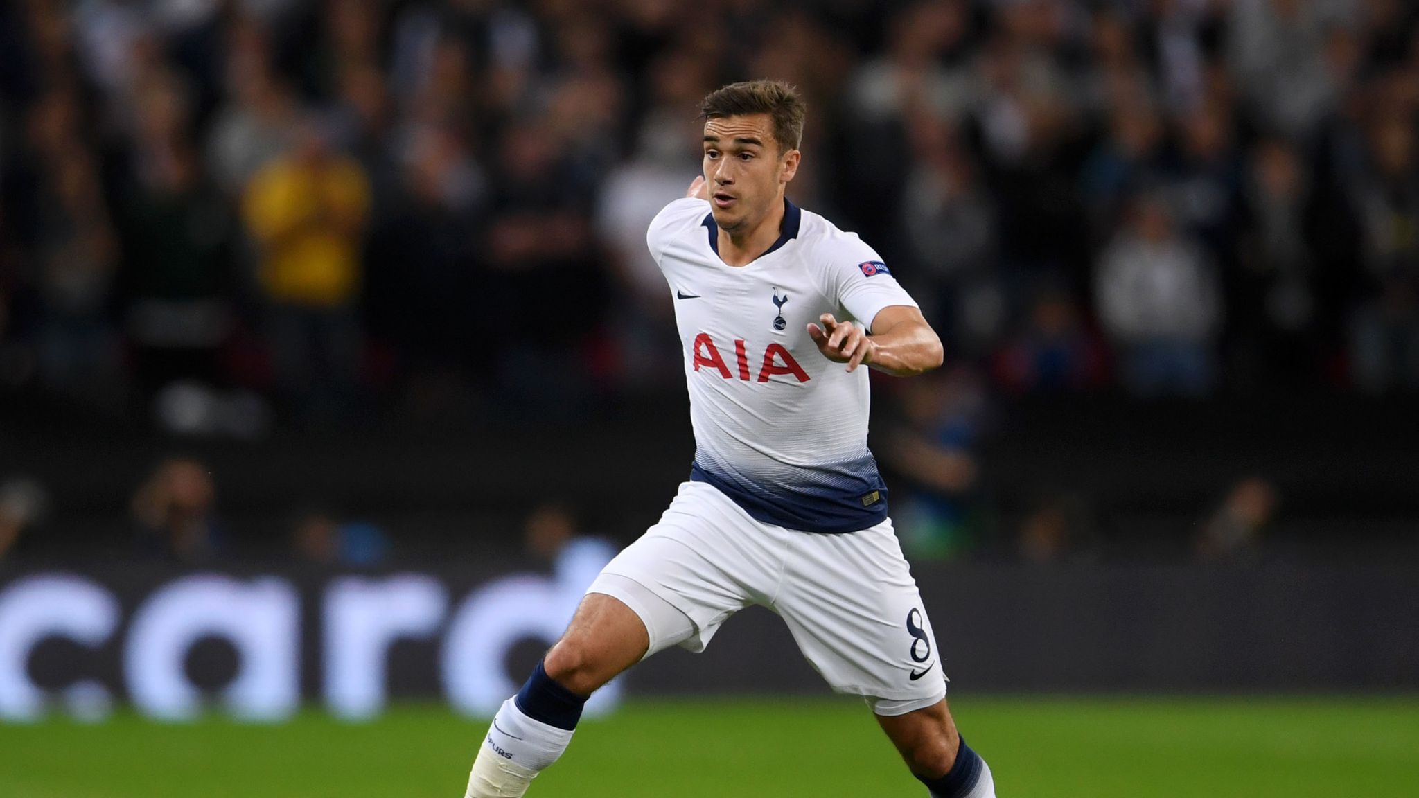 Harry Winks Wallpapers - Wallpaper Cave