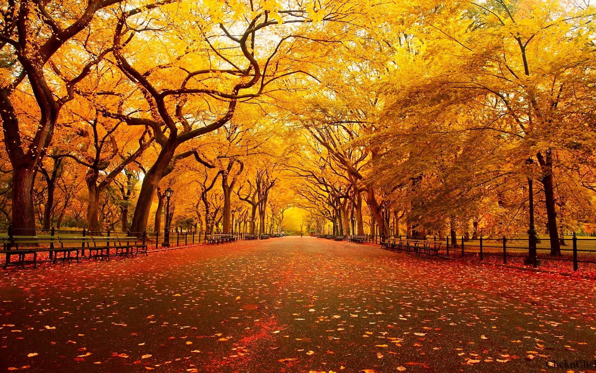 Autumn Park Wallpapers - Wallpaper Cave