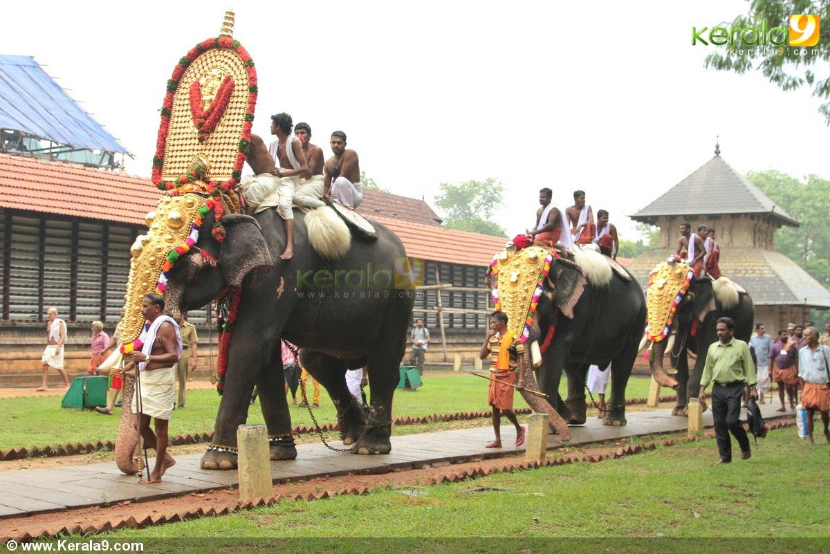 Thrissur Pooram Wallpapers - Wallpaper Cave
