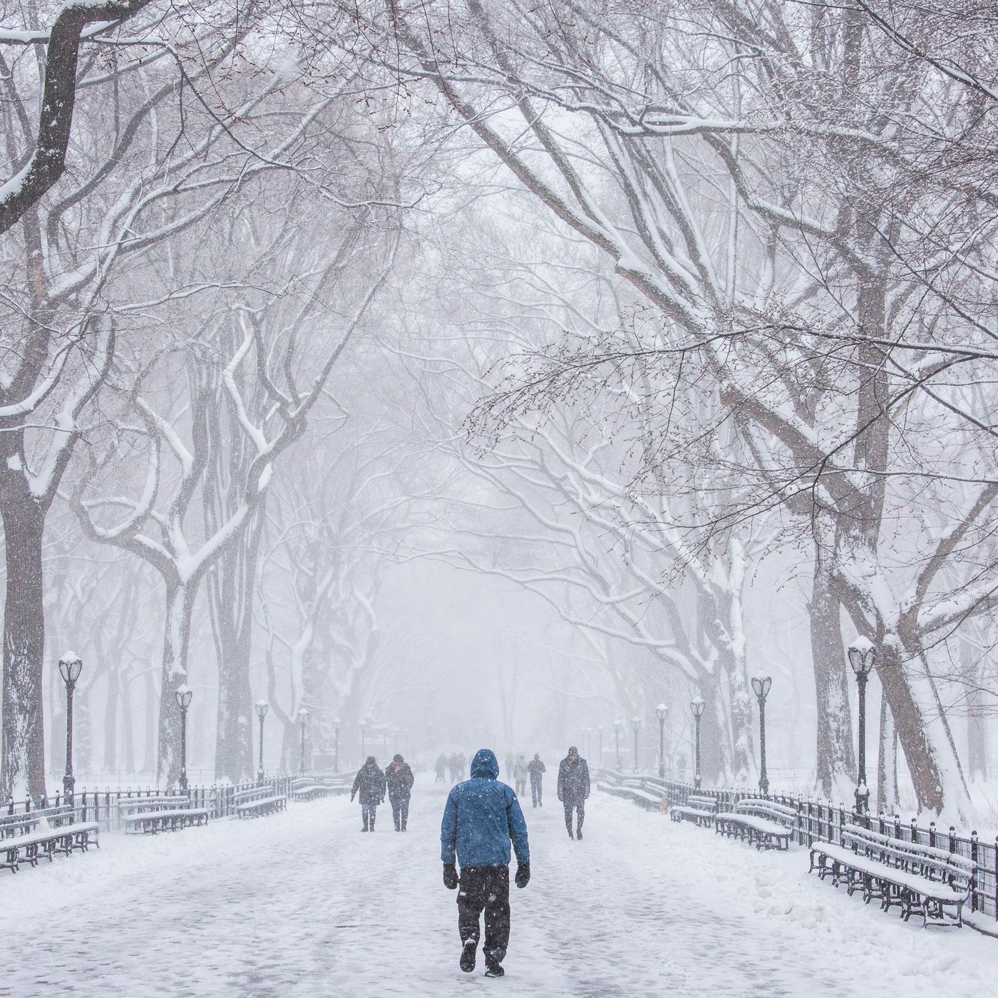 Winter Snow Storm Wallpapers - Wallpaper Cave