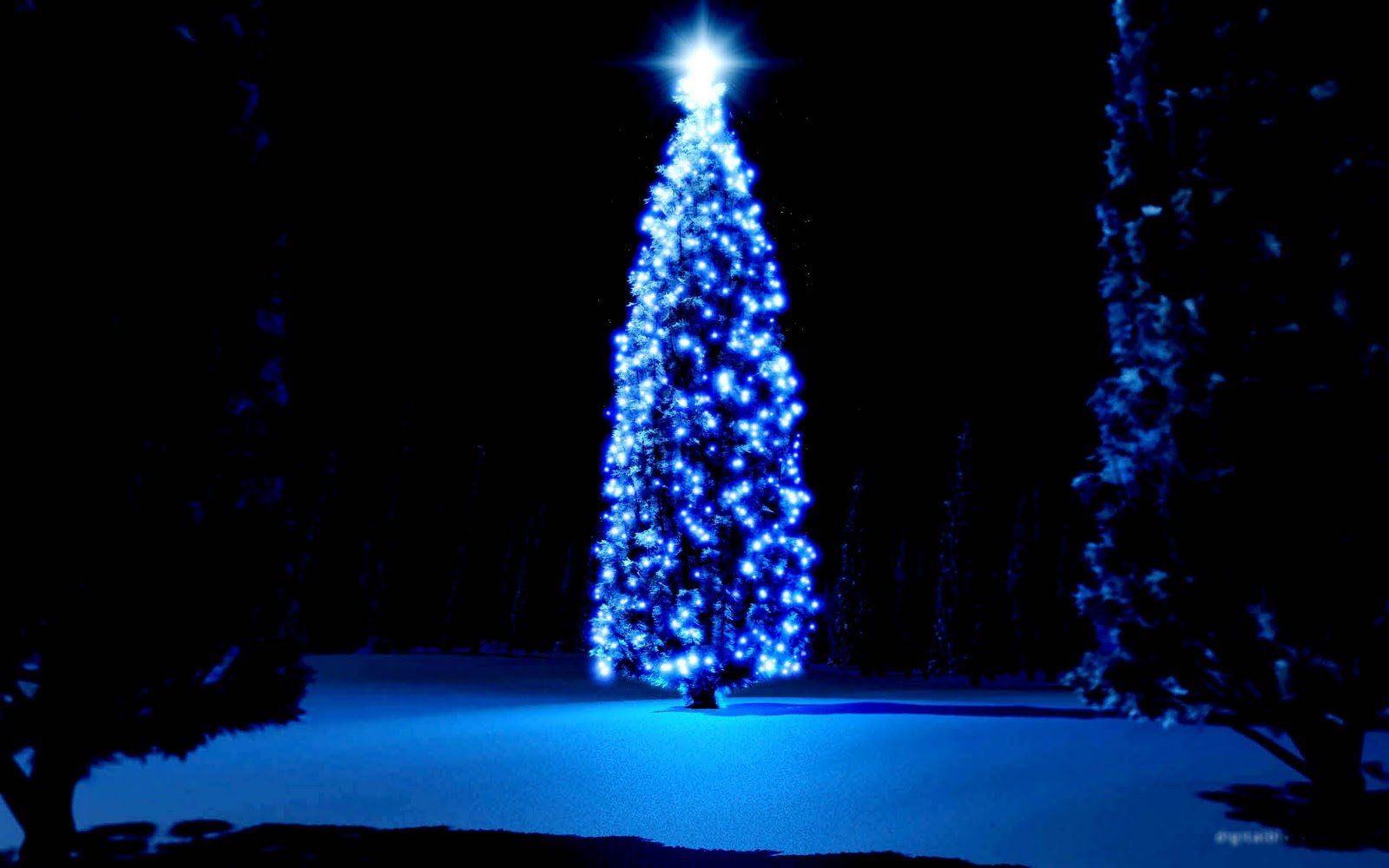 Night Christmas Tree Wallpapers - Wallpaper Cave