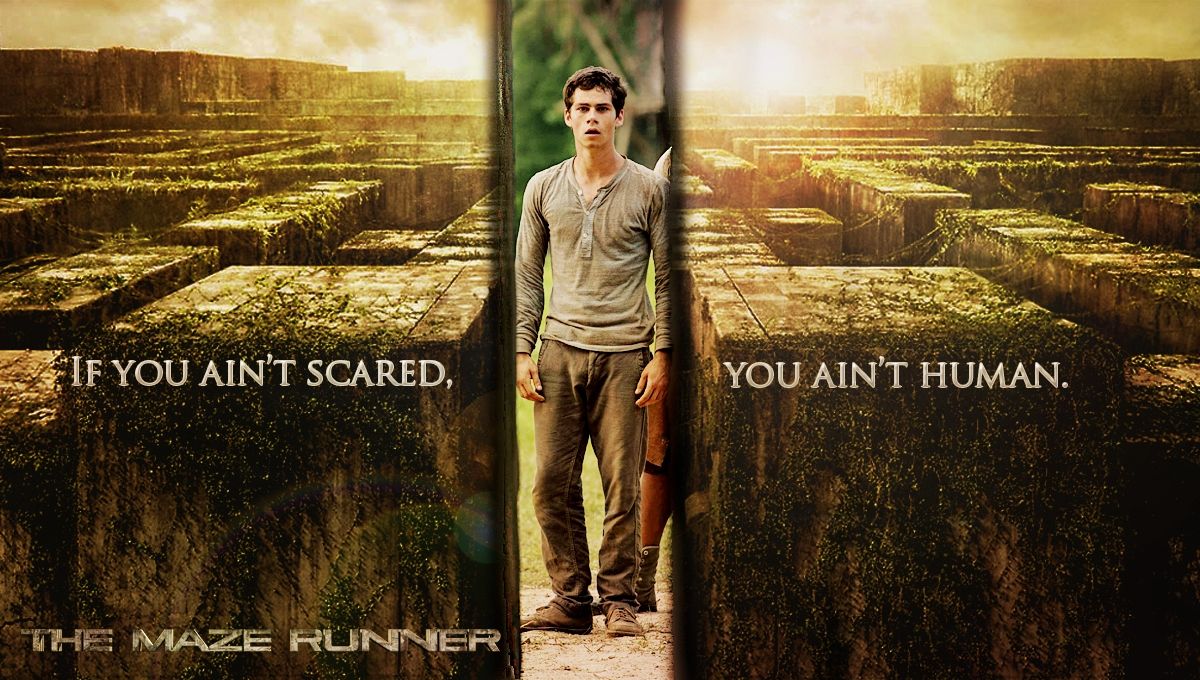 Maze Runner For PC Wallpapers - Wallpaper Cave