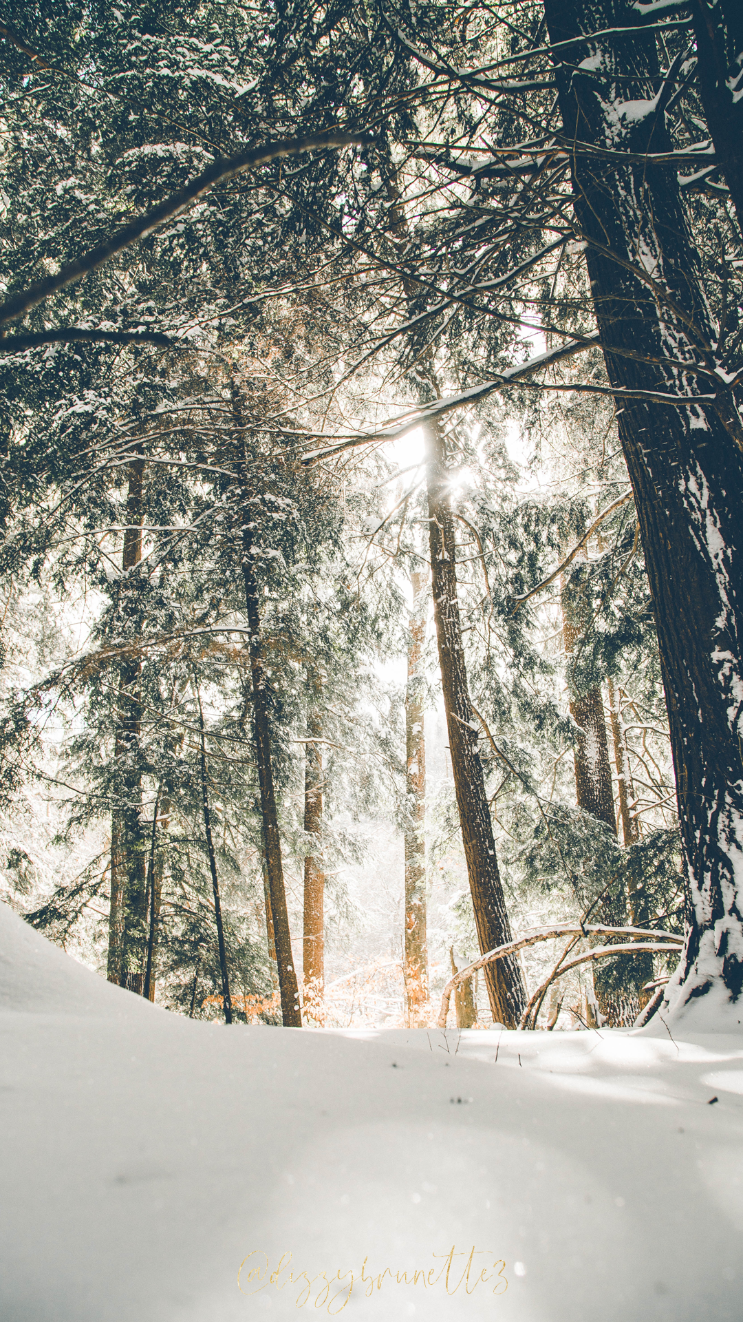 November Winter Wallpapers - Wallpaper Cave