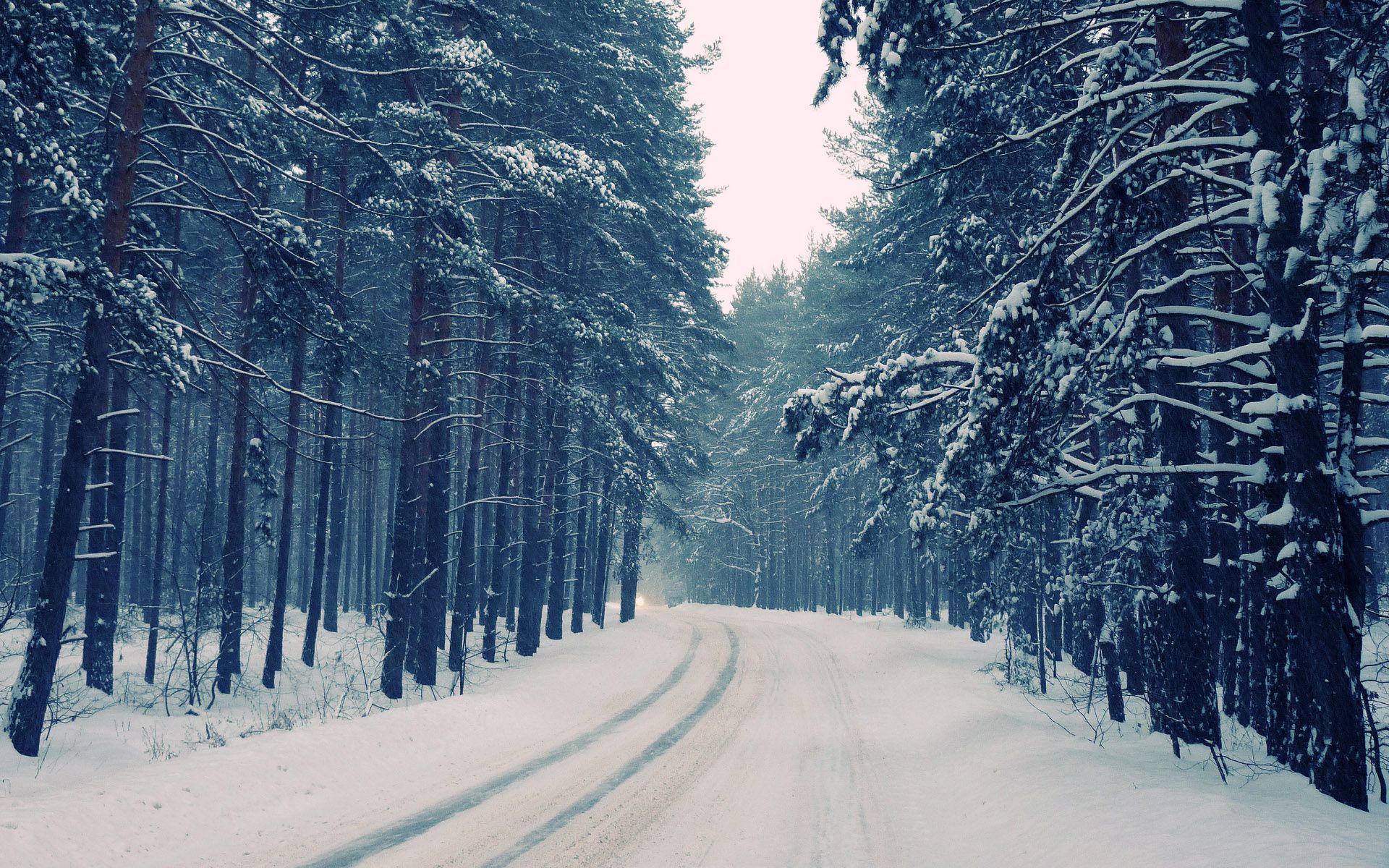 November Winter Wallpapers - Wallpaper Cave