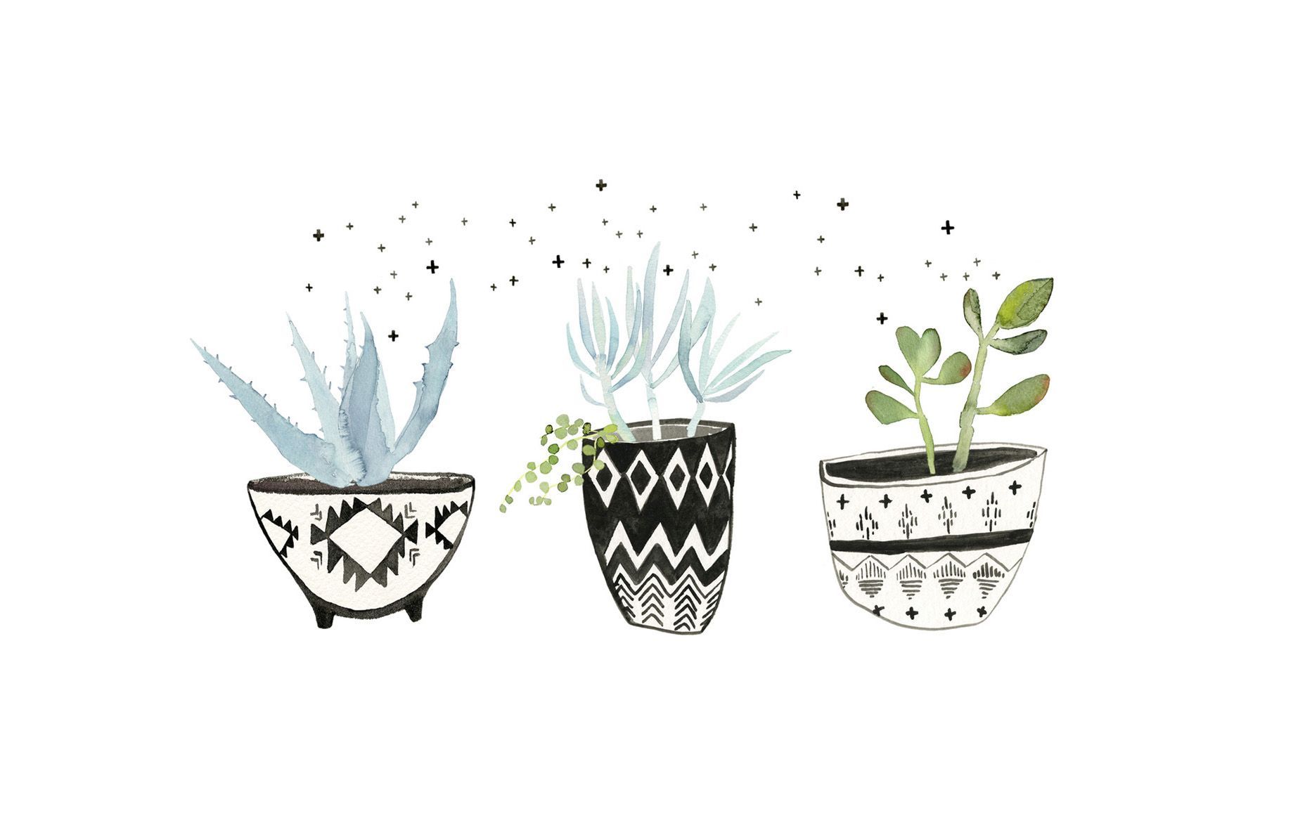 Pots Wallpapers - Wallpaper Cave