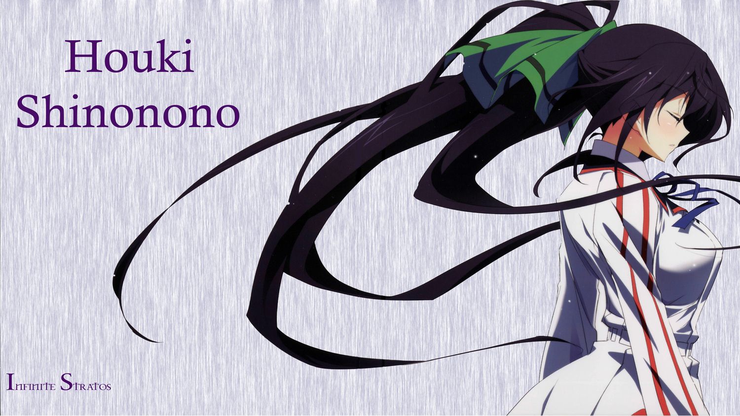 Houki Shinonono Wallpapers - Wallpaper Cave
