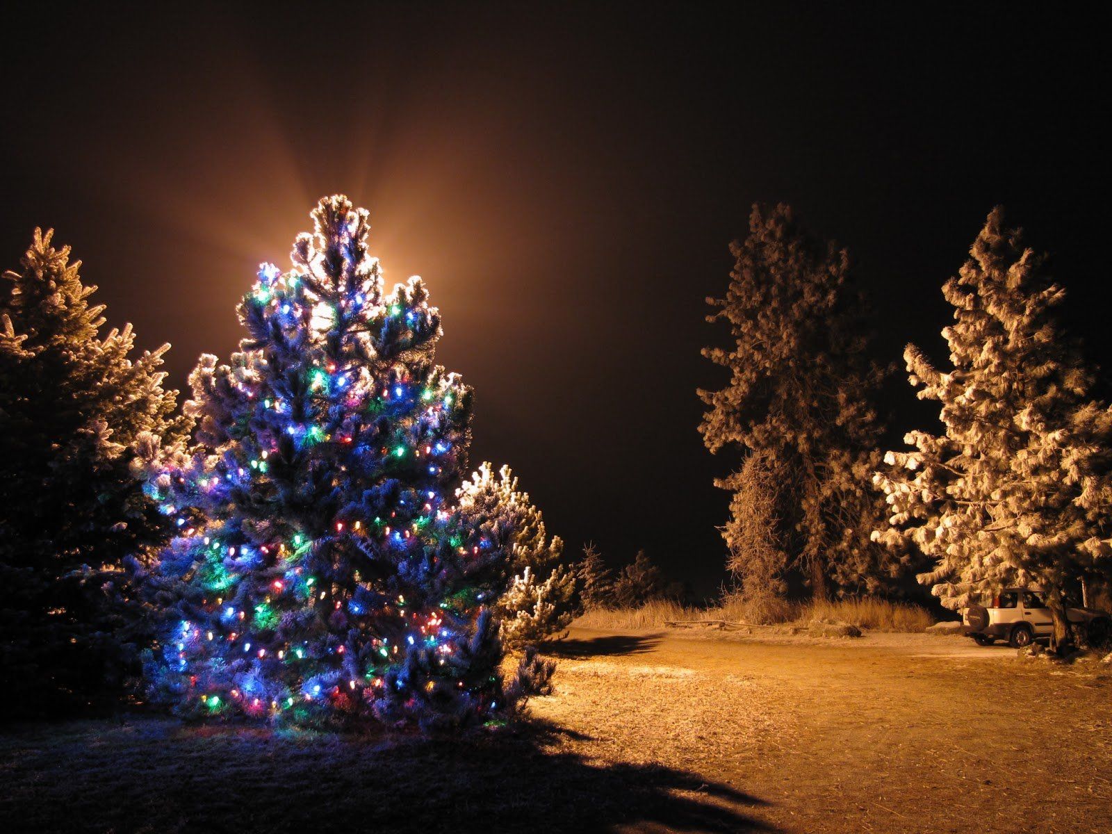 LED Christmas Tree Wallpapers - Wallpaper Cave