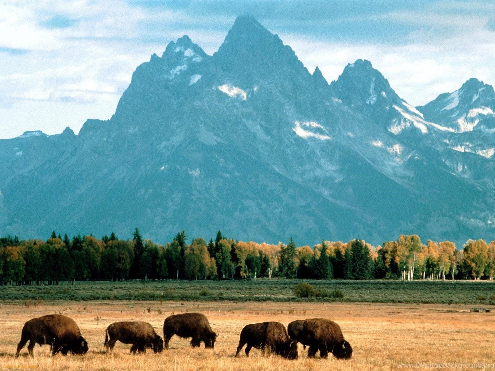 Grand Teton National Park Wyoming Wallpapers - Wallpaper Cave