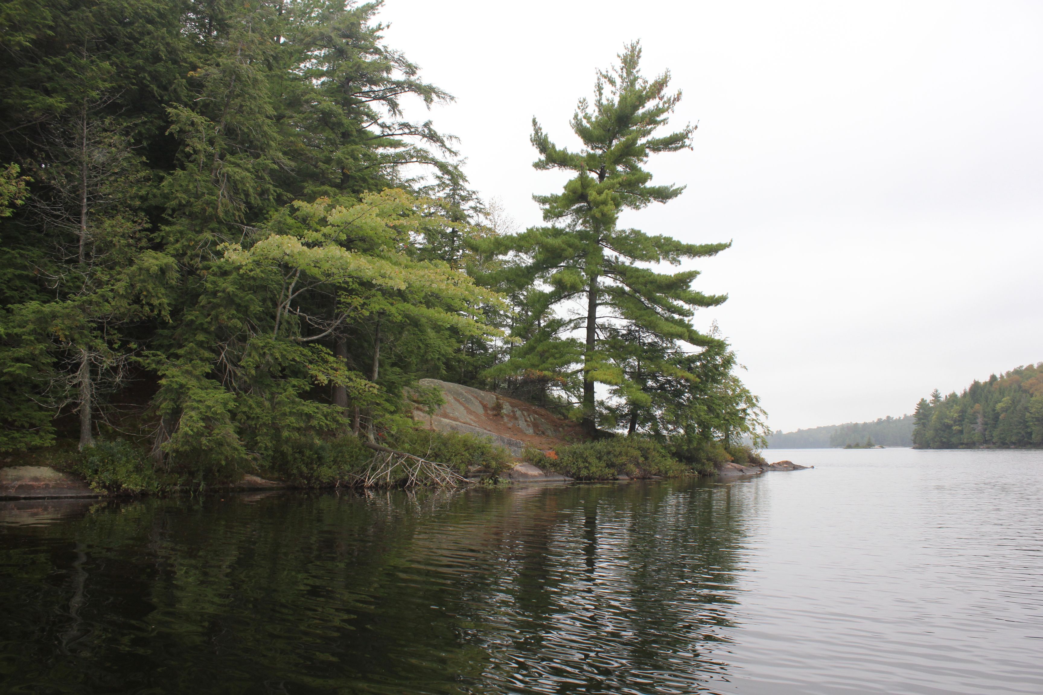 Silent Lake Wallpapers - Wallpaper Cave