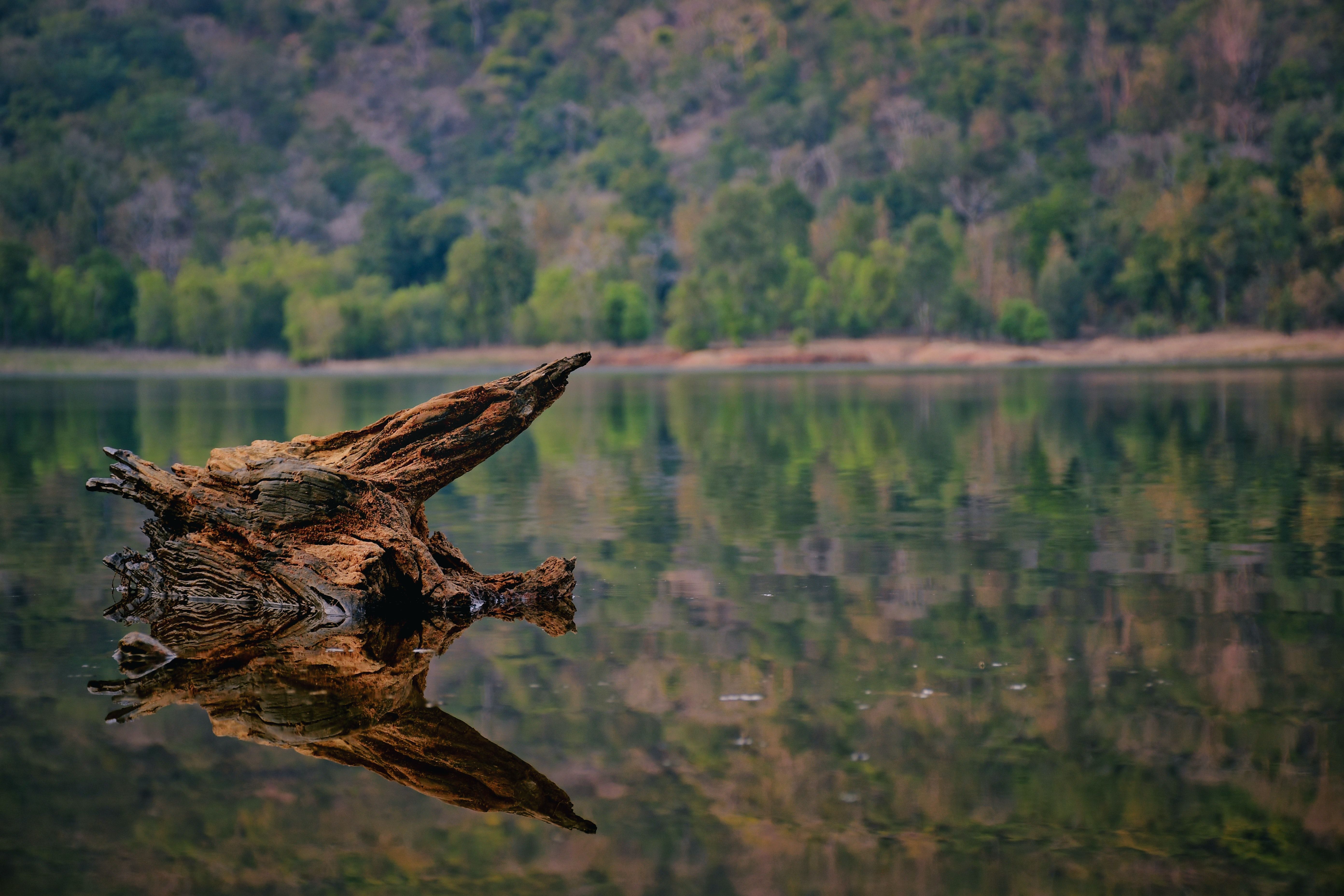 Silent Lake Wallpapers - Wallpaper Cave