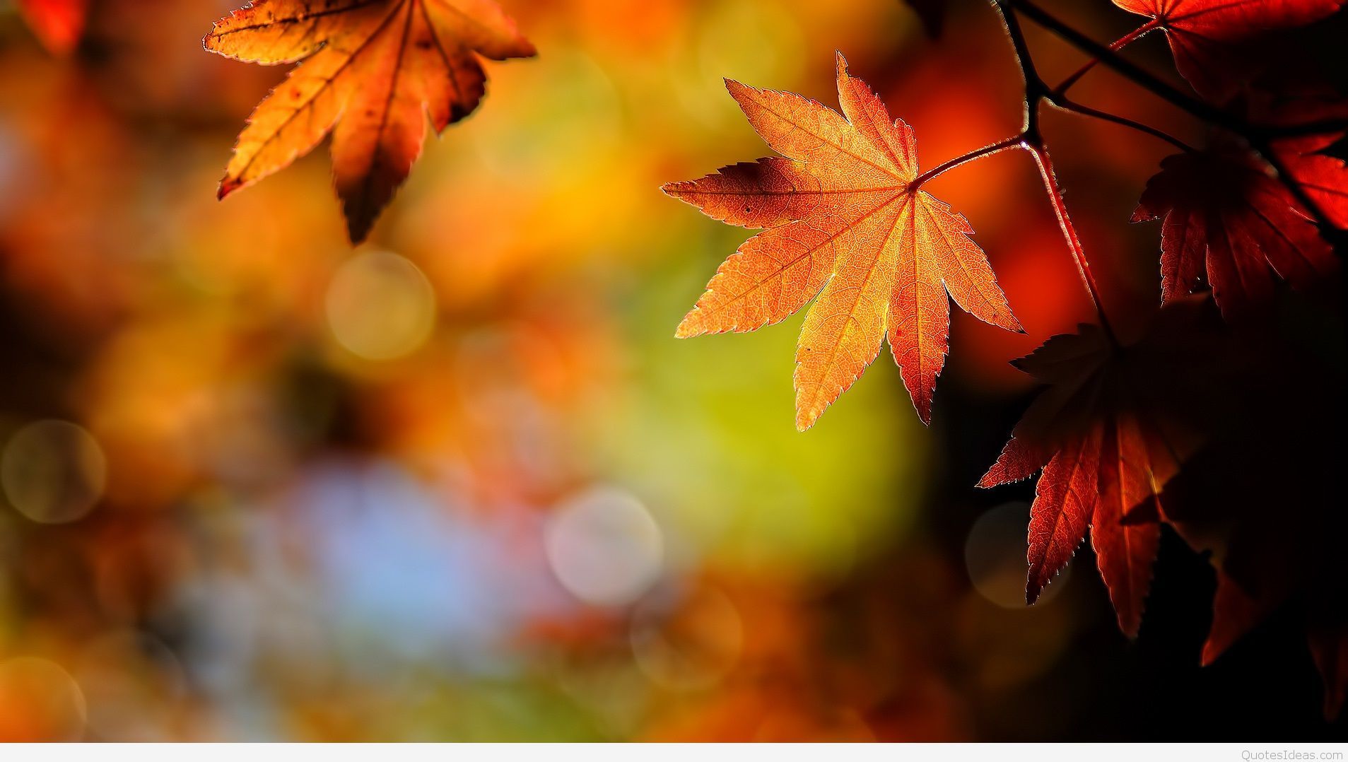 Abstract Autumn Wallpapers - Wallpaper Cave