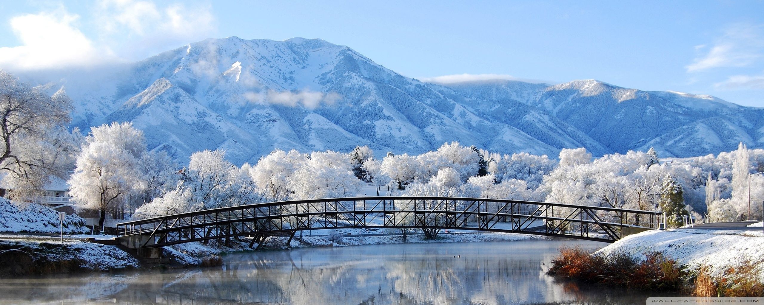 Winter Profile Pictures Wallpapers - Wallpaper Cave