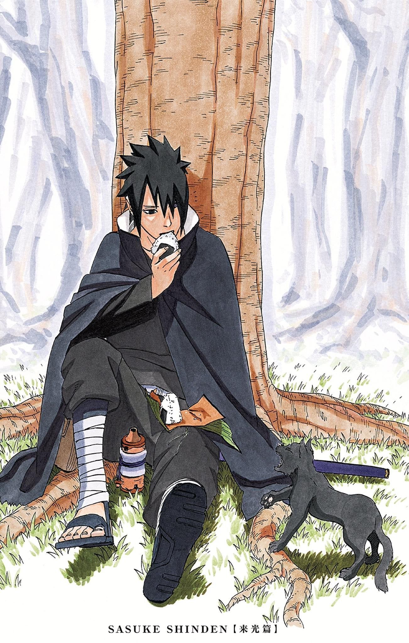 Sasuke Shinden Wallpapers - Wallpaper Cave