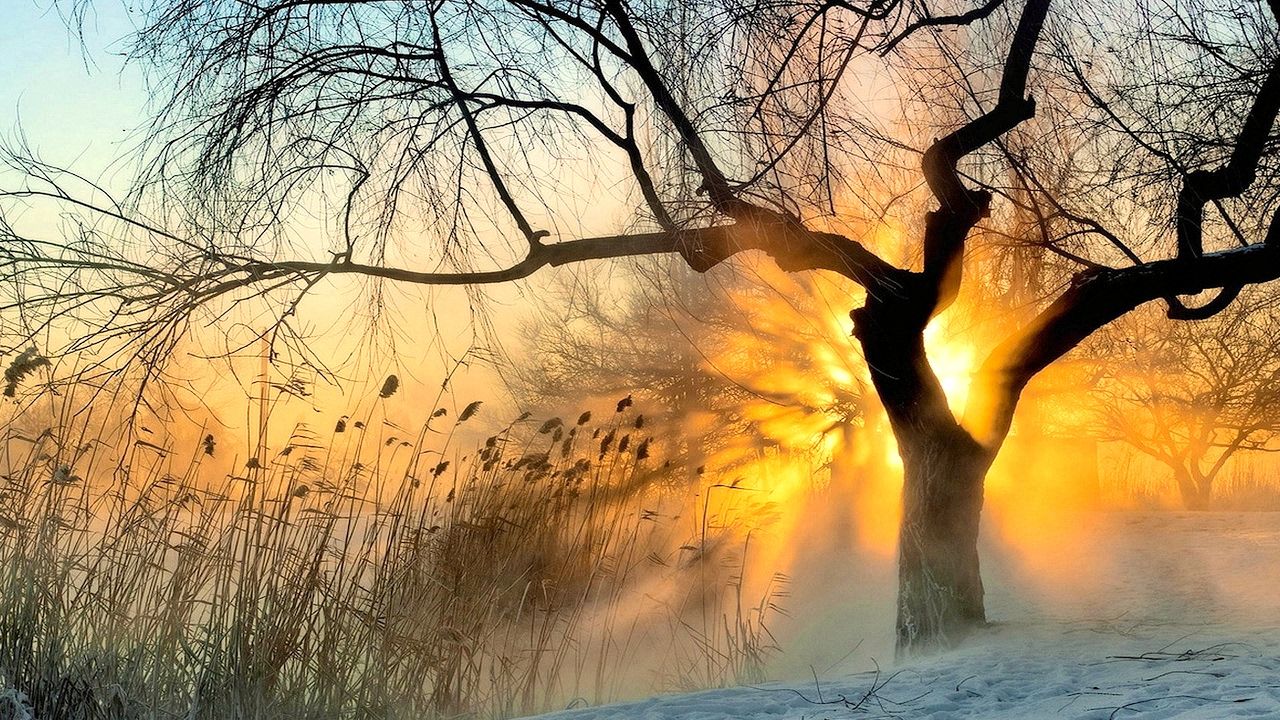 Simple Winter Scene Wallpapers - Wallpaper Cave