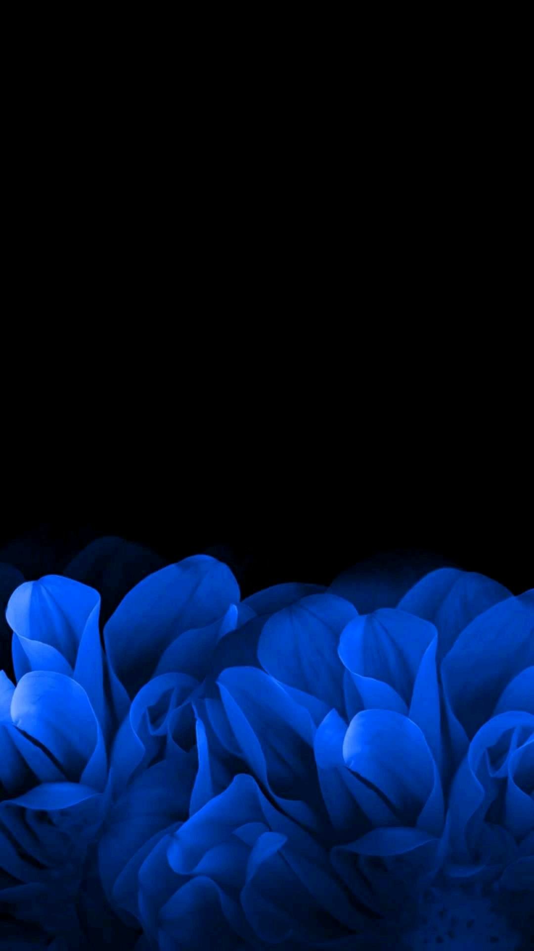 Flower Amoled Phone Wallpapers - Wallpaper Cave