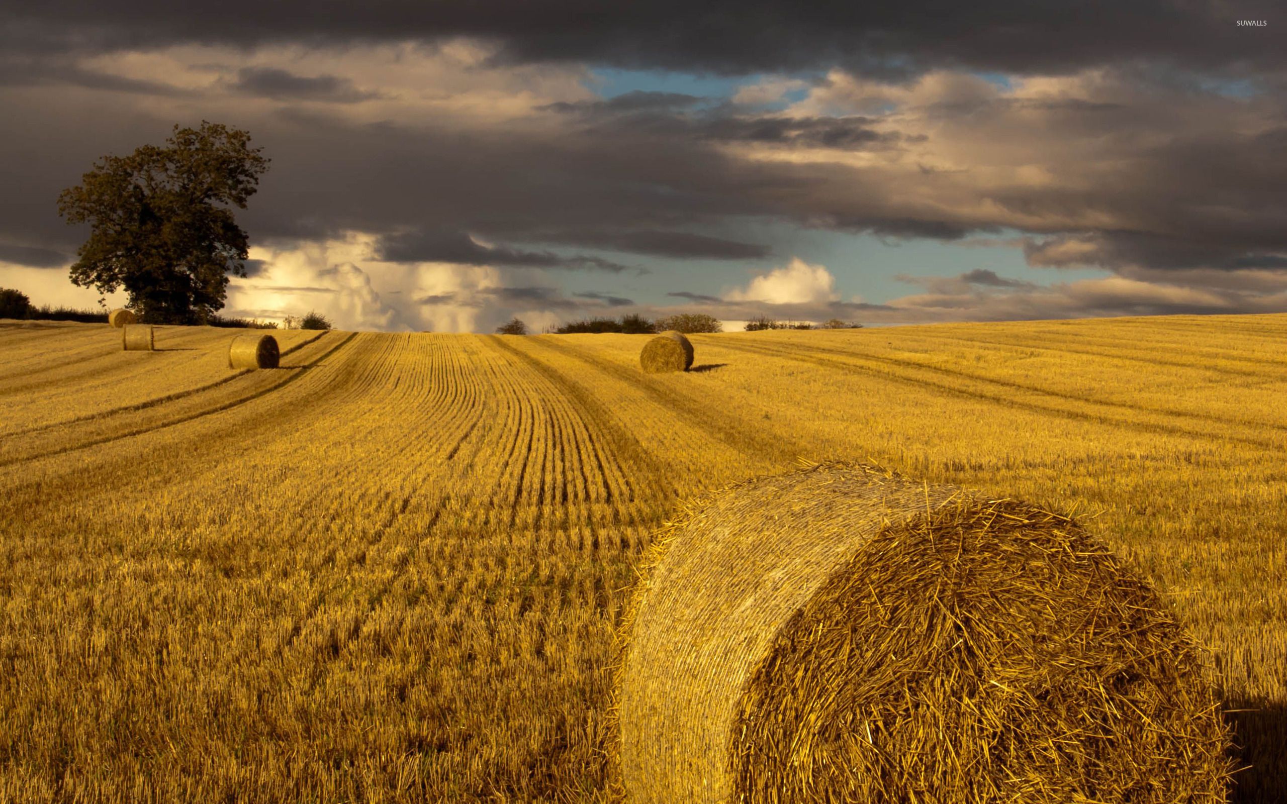 Hay Bales Wallpapers - Wallpaper Cave