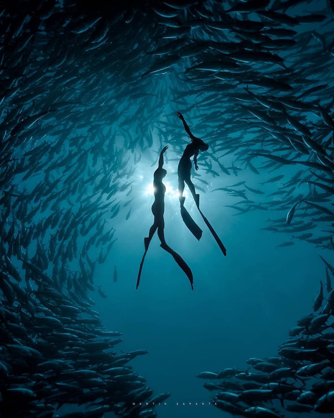 Freediving Wallpapers - Wallpaper Cave