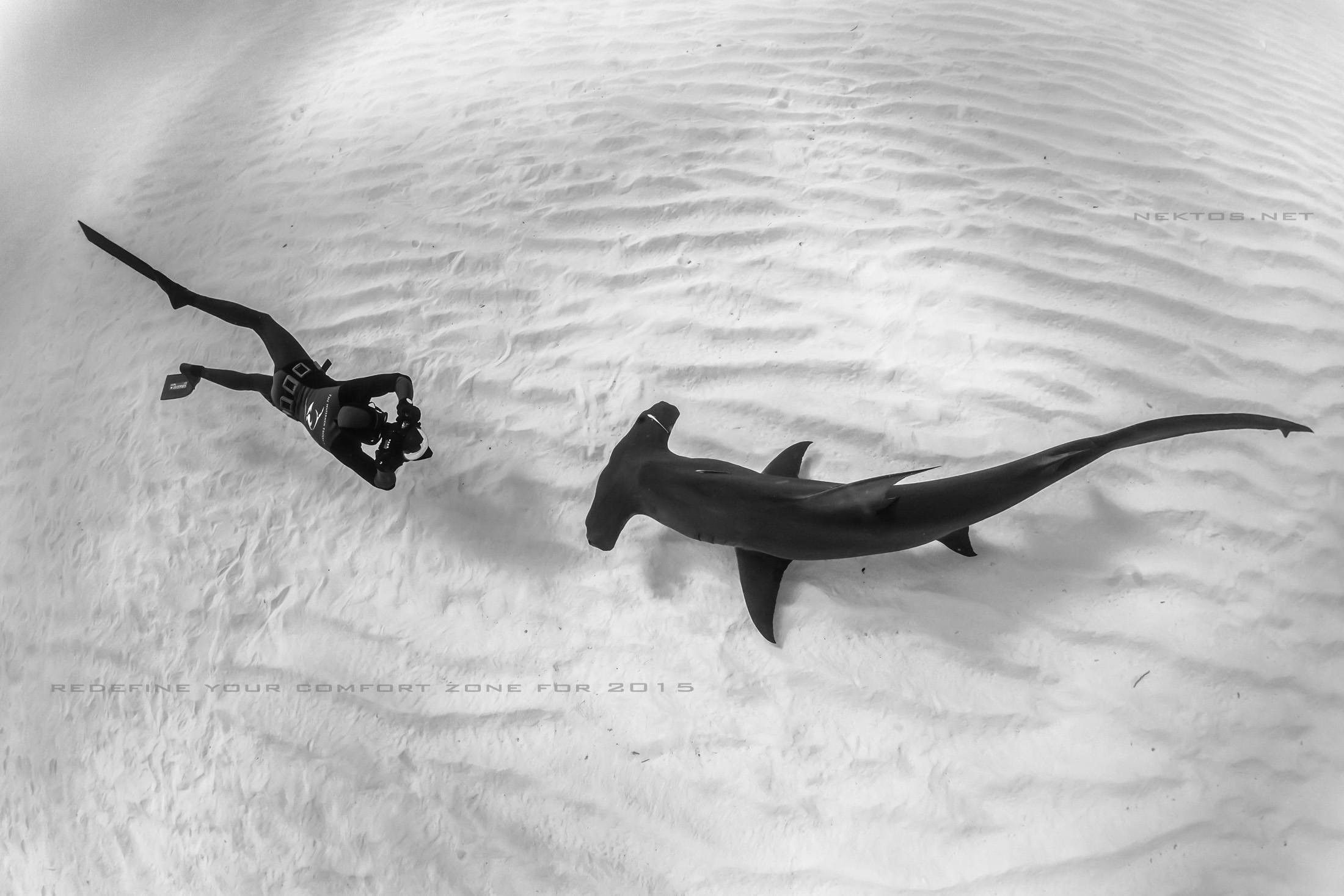 Freediving Wallpapers - Wallpaper Cave