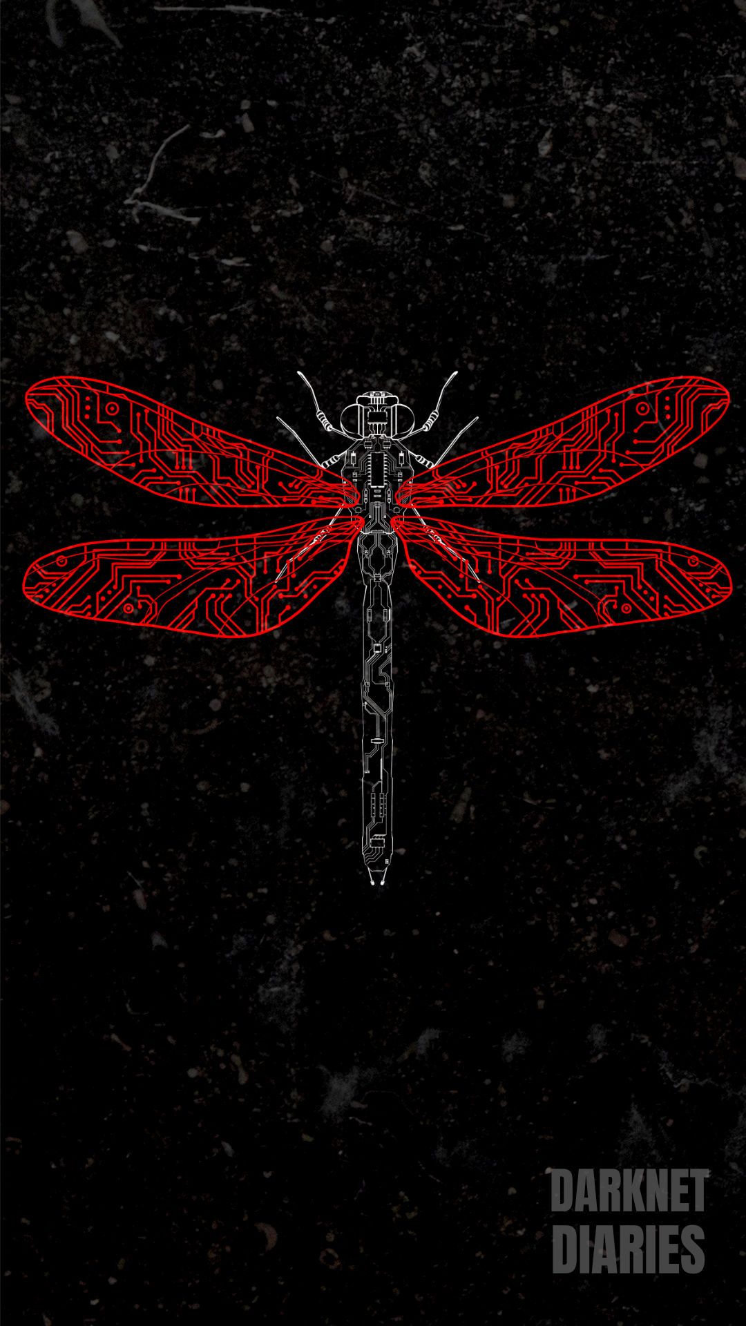 Dark Net Wallpapers - Wallpaper Cave