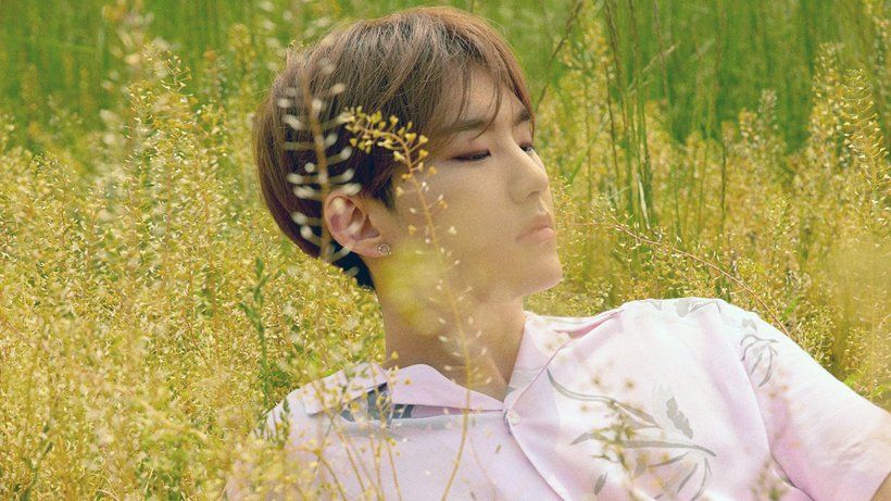 Seventeen Hoshi Wallpapers - Wallpaper Cave