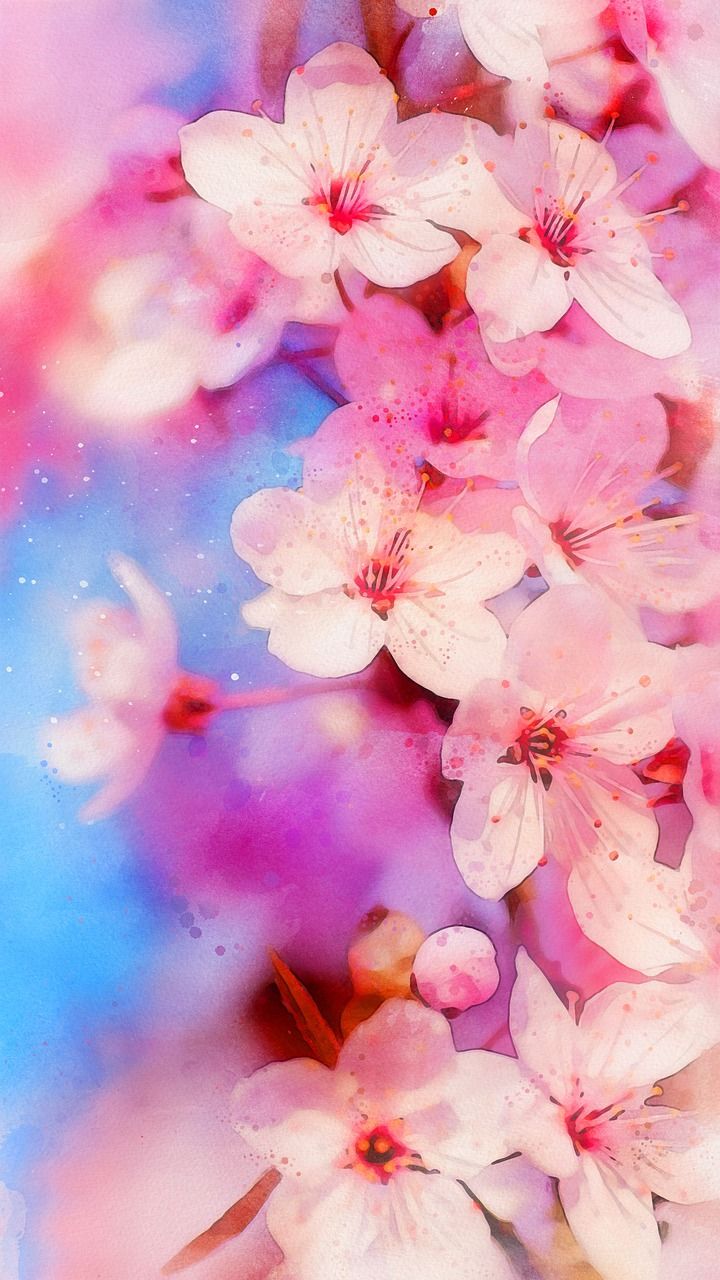 Peach Blossom Wallpapers - Wallpaper Cave