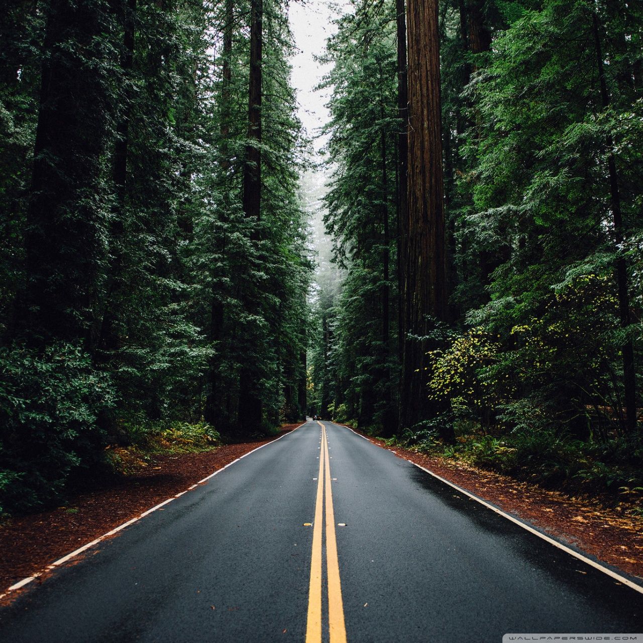 City Roads Wallpapers - Wallpaper Cave